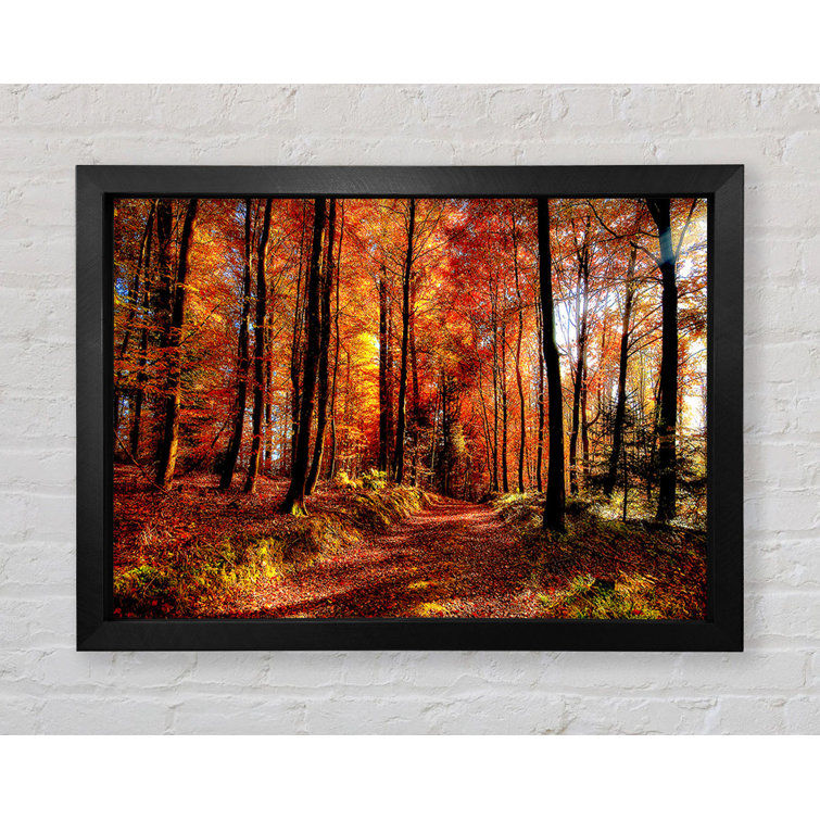 Union Rustic Fall Forest Path - Single Picture Frame Art Prints ...