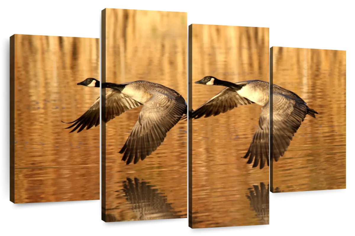 Ebern Designs Low Flying Geese | Wayfair