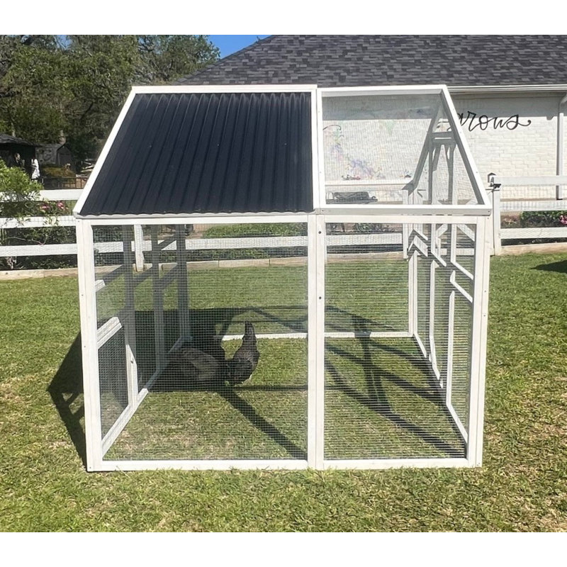 Zylina Modern Universal Poultry Pen - Medium | Wayfair