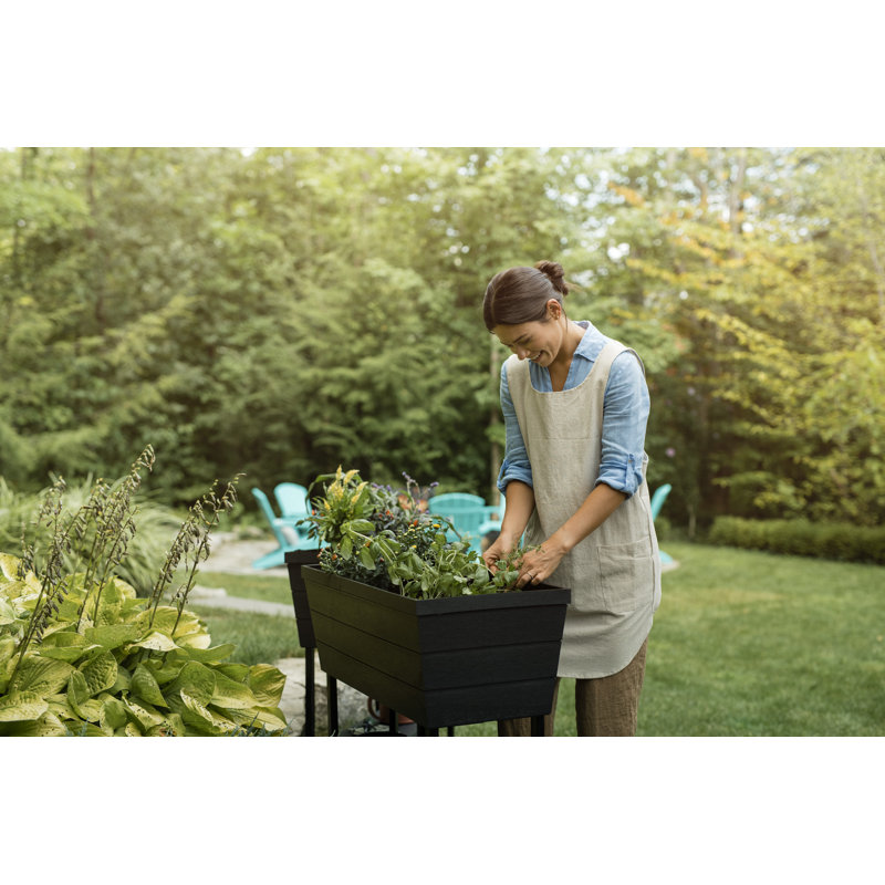 Keter Urban Bloomer Raised Garden Bed with Self-Watering and Drainage ...