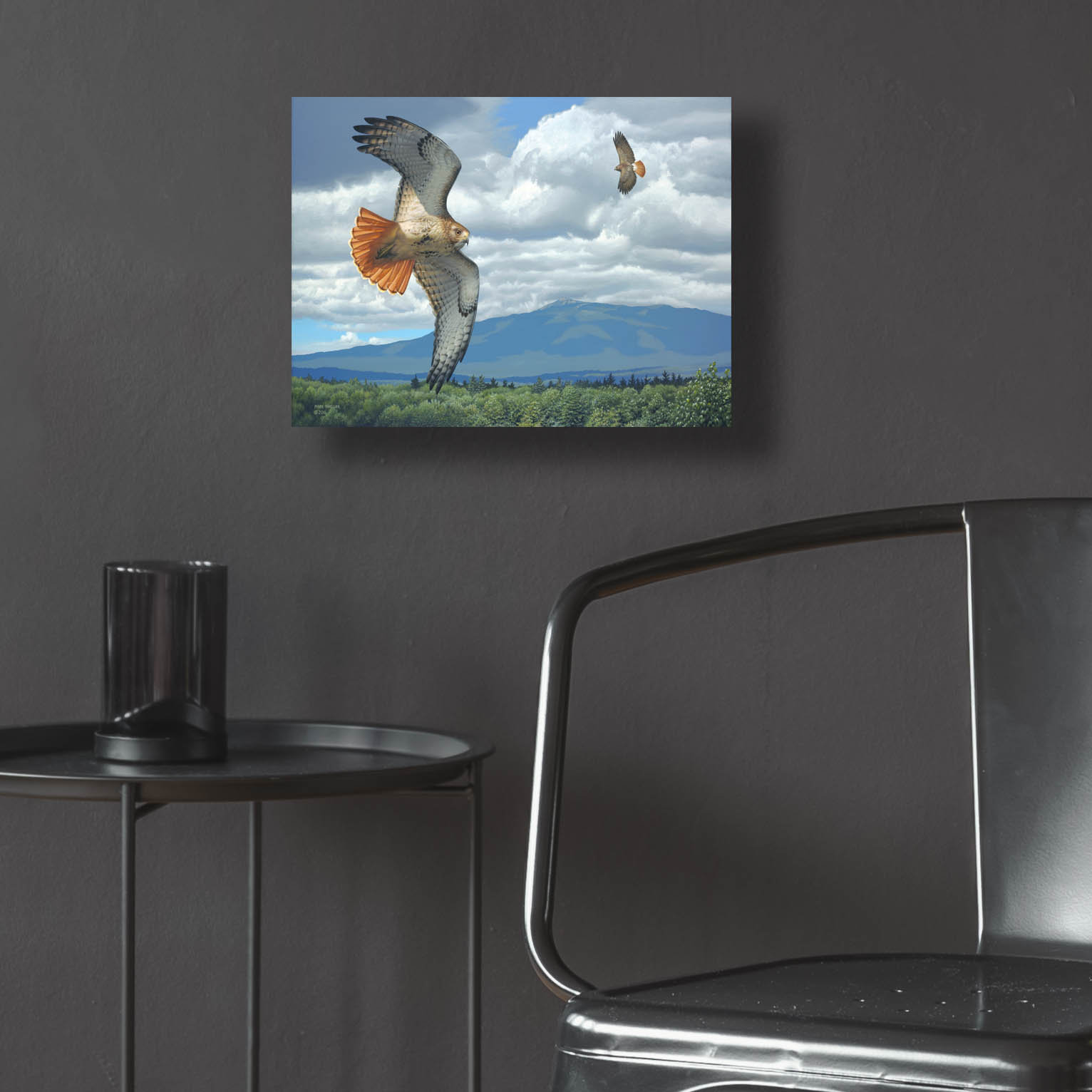 Winston Porter Soaring Over the Pines - Red-tailed Hawks' by Mark ...