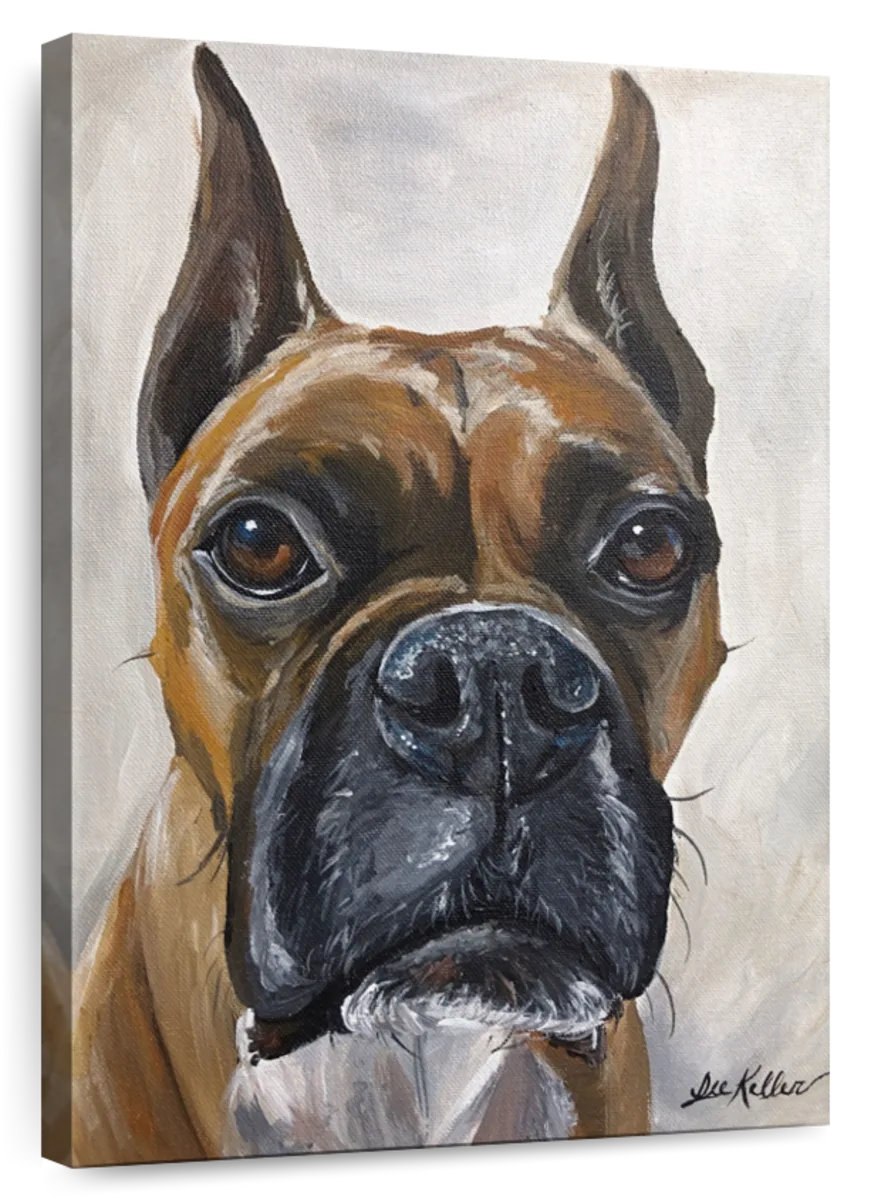 Ebern Designs Brampt Boxer Kyleigh | Wayfair