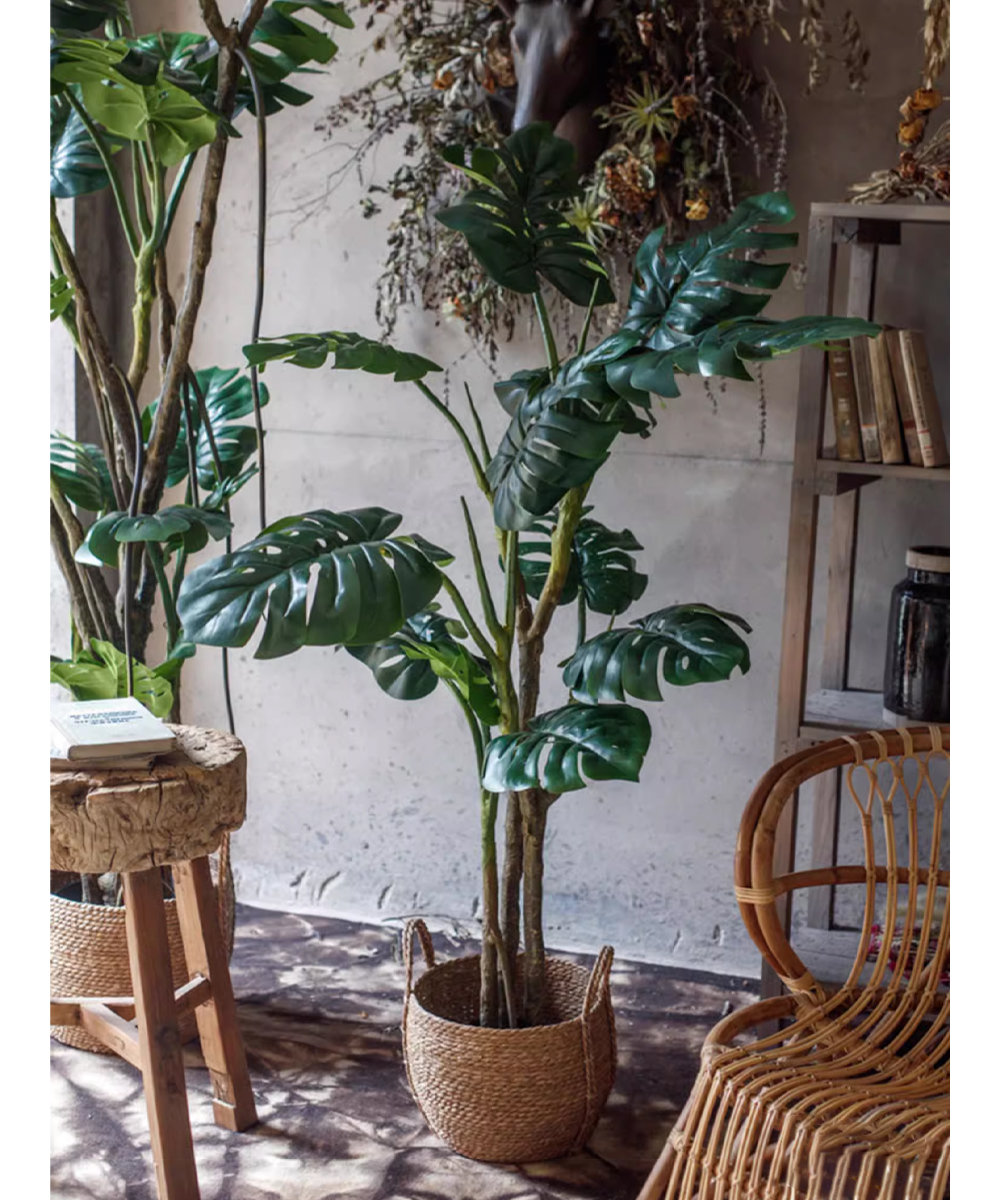 Stella Trek Large Simulation Green Plant Turtle Back Bamboo Plant ...