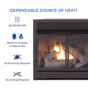 Duluth Forge Dual Fuel Ventless Gas Fireplace Insert - 32,000 BTU, T ...