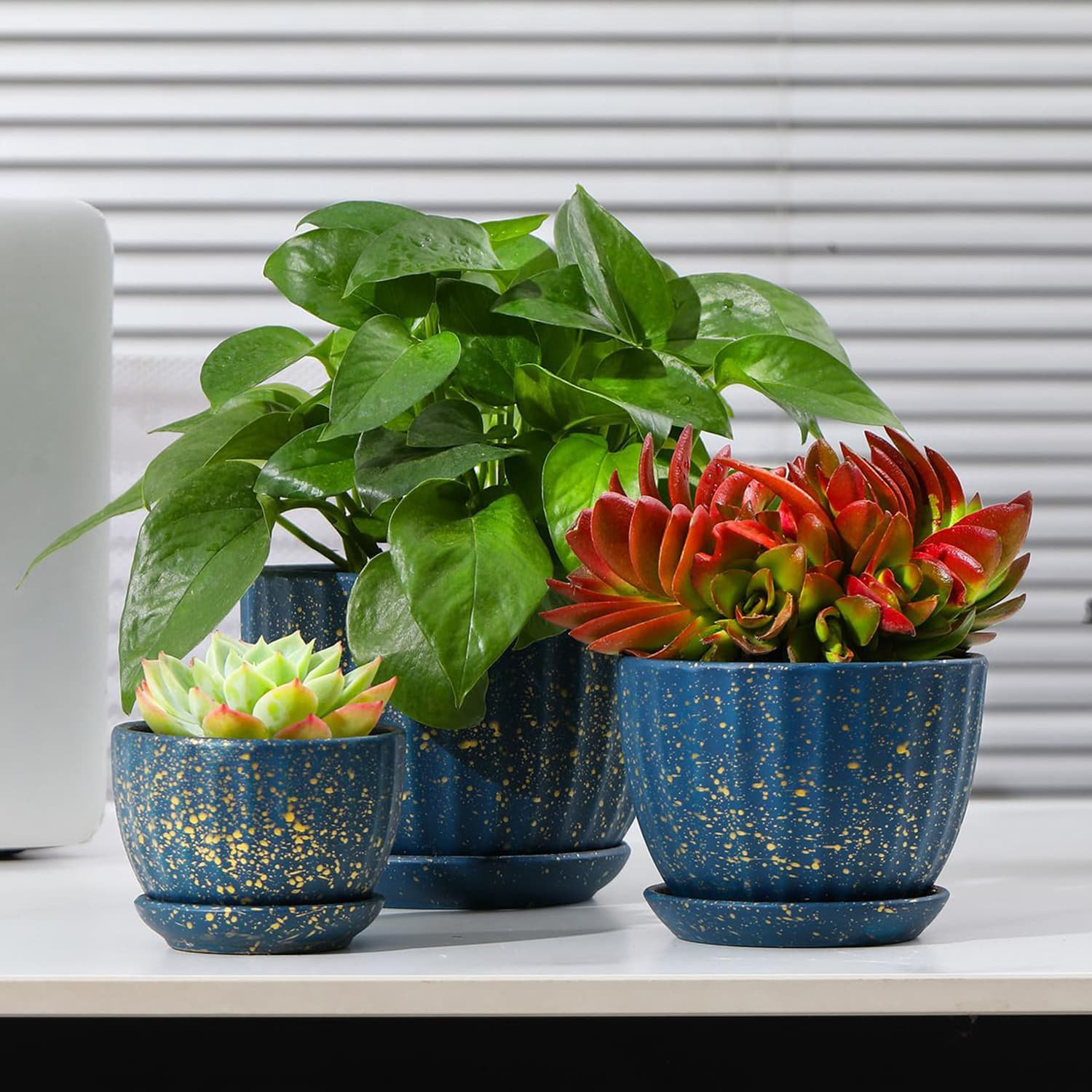 Dakota Fields Ceramic Flowerpot With Drainage Hole And Tray, Houseplant ...