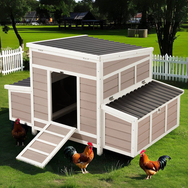 Tucker Murphy Pet™ Chicken Coop, 56" Large Wooden Chicken Hutch With 6 ...
