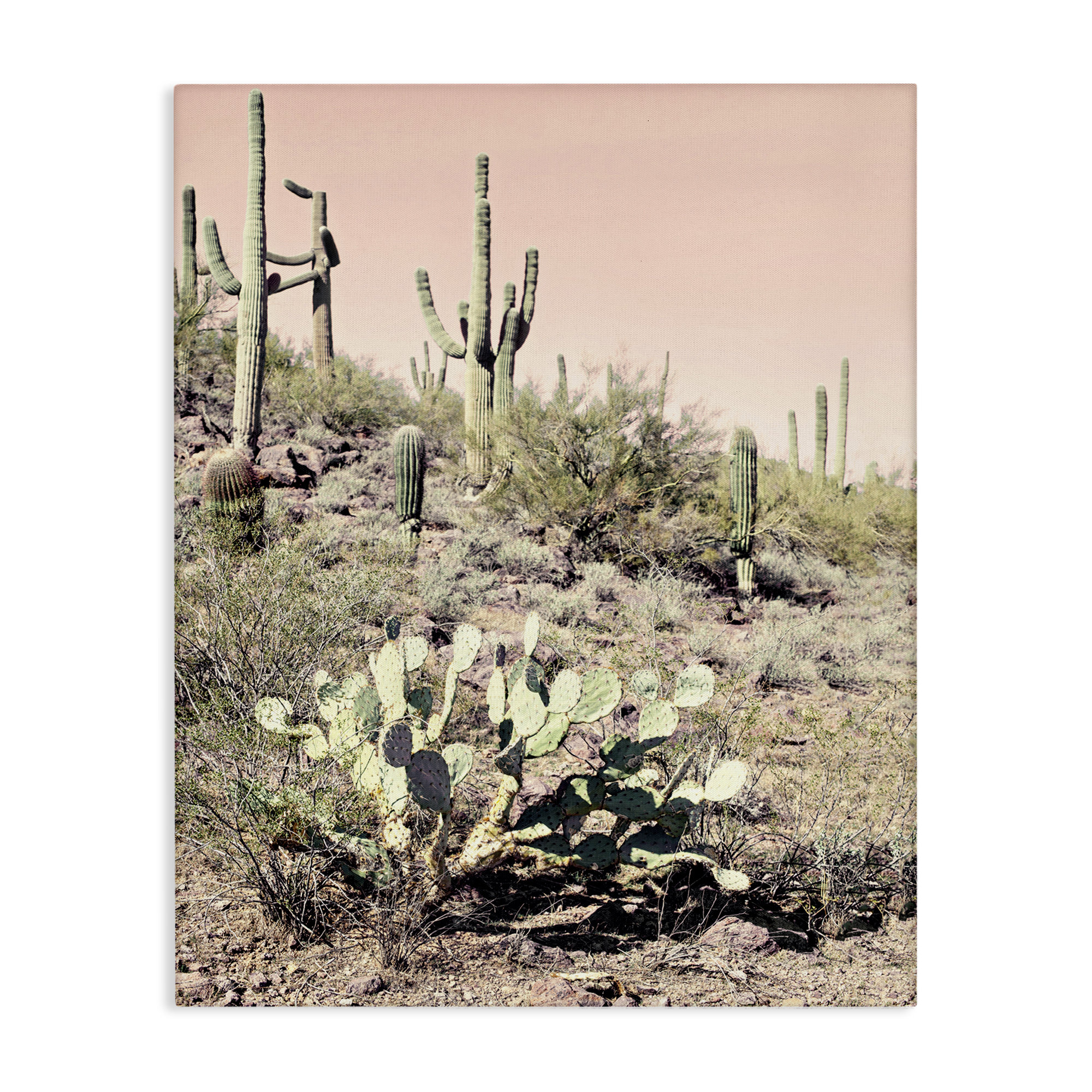 Union Rustic Rustic Desert Scene Canvas Wall Art by Susan Bryant | Wayfair