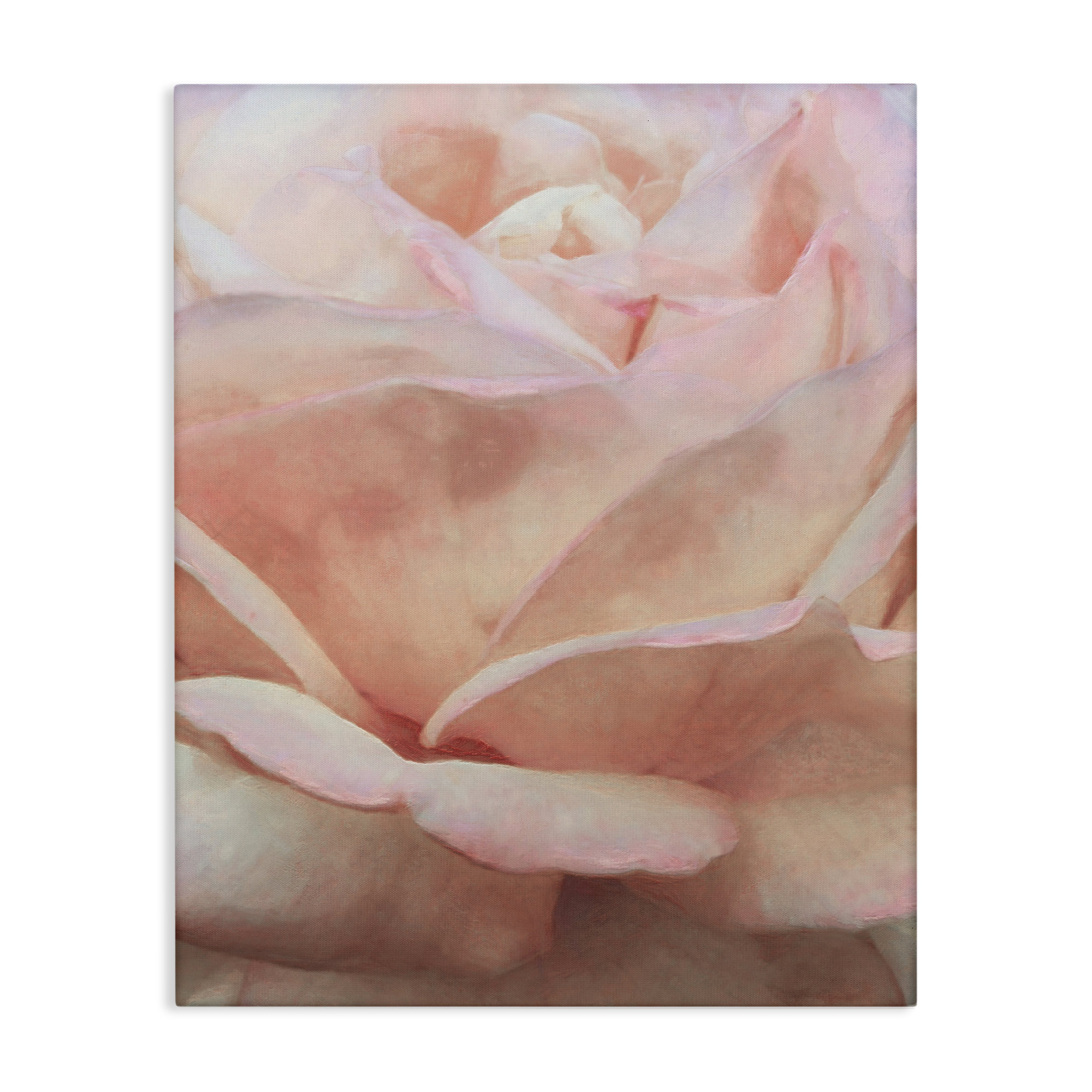 Winston Porter Soft Rose Petals Canvas Wall Art by Alonzo Saunders ...