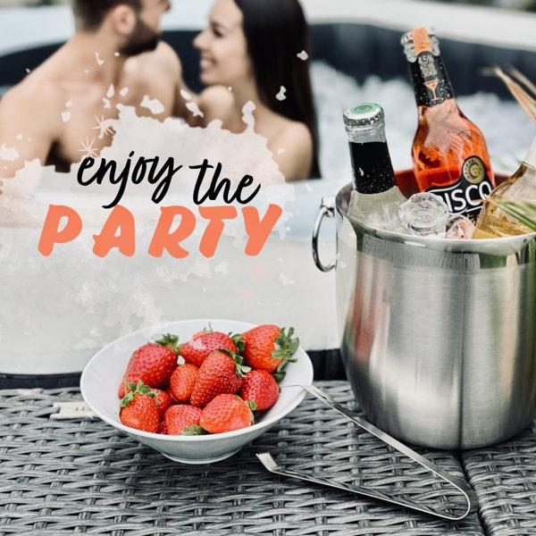 Lark Manor 3L Insulated Ice Bucket, Champagne Bucket, Ice Bucket With ...