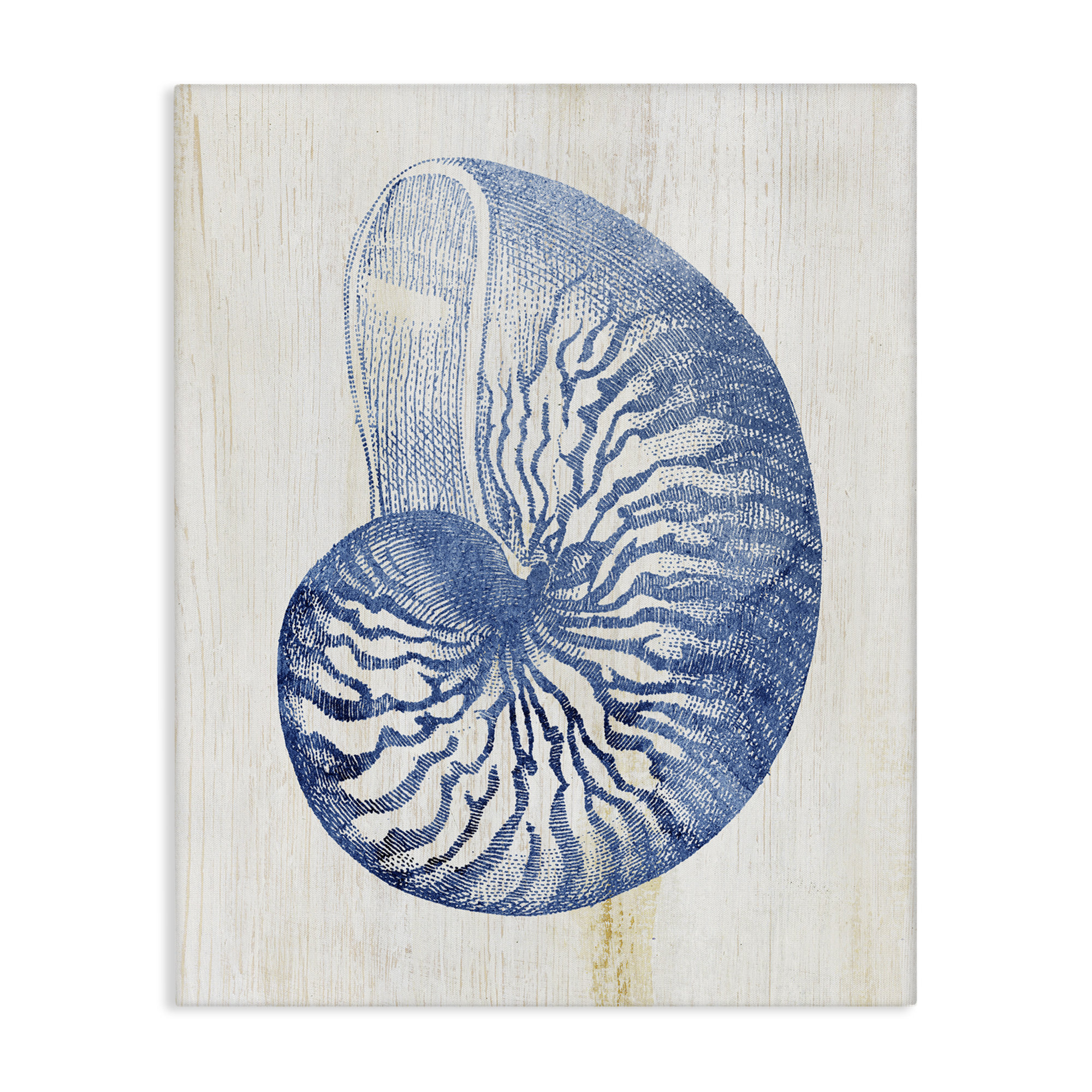 Dakota Fields Blue Nautilus Shell Canvas, design by Susan Arnot | Wayfair