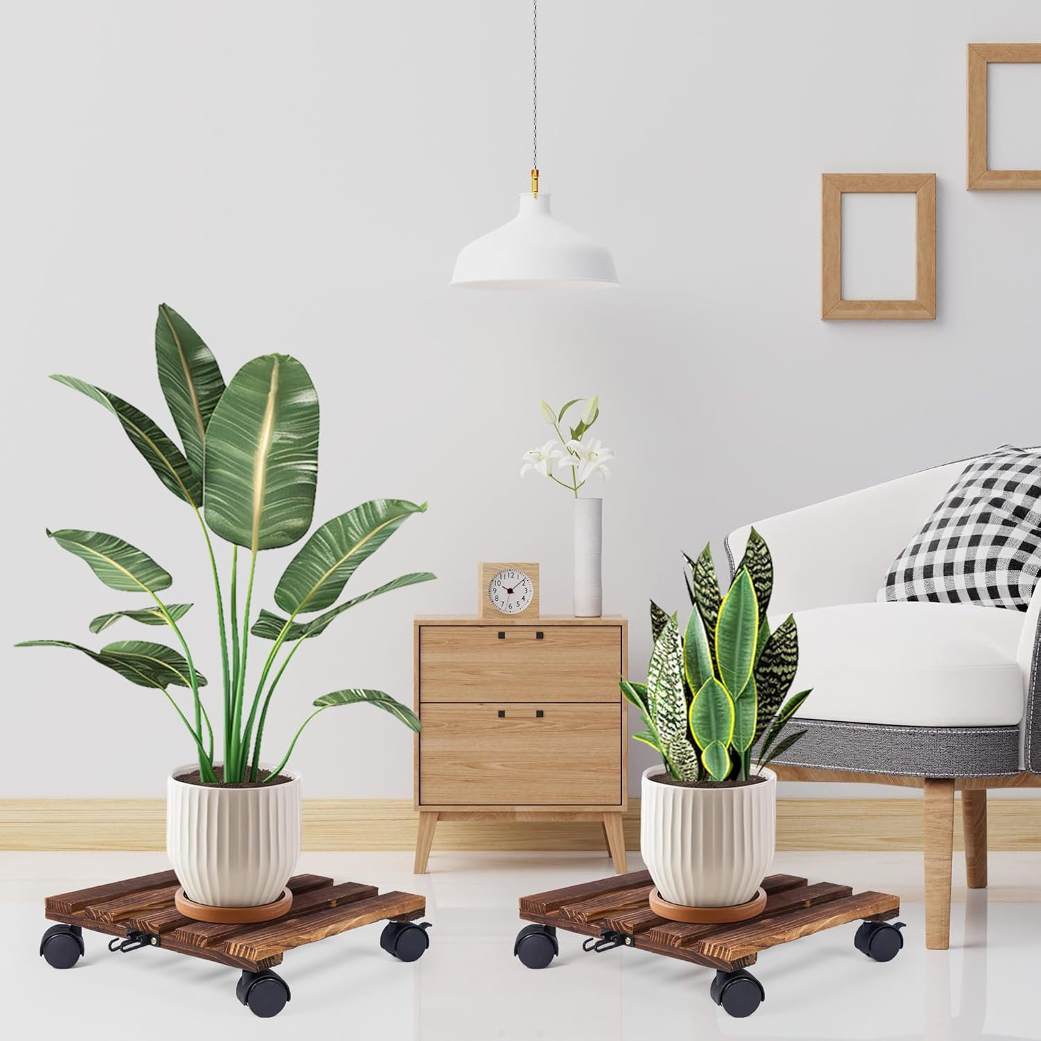 Millwood Pines 2 Pack Plant Caddy With Wheels-12In Rolling Plant Stand ...