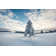 17 Stories Snowcapped Winter Tree by Borchee - Print | Wayfair.co.uk