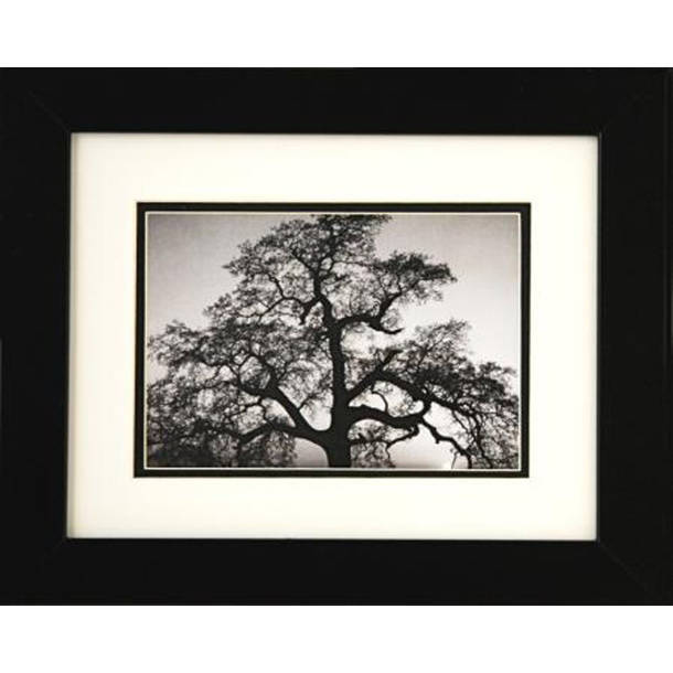 Vault W Artwork Ansel Adams Oak Tree On Paper by Ansel Adams Print ...