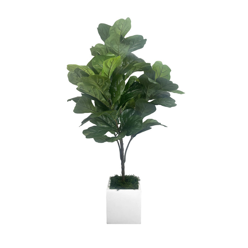 Creative Displays, Inc. 3.5' Faux Fiddle Tree in Fiberstone Planter ...