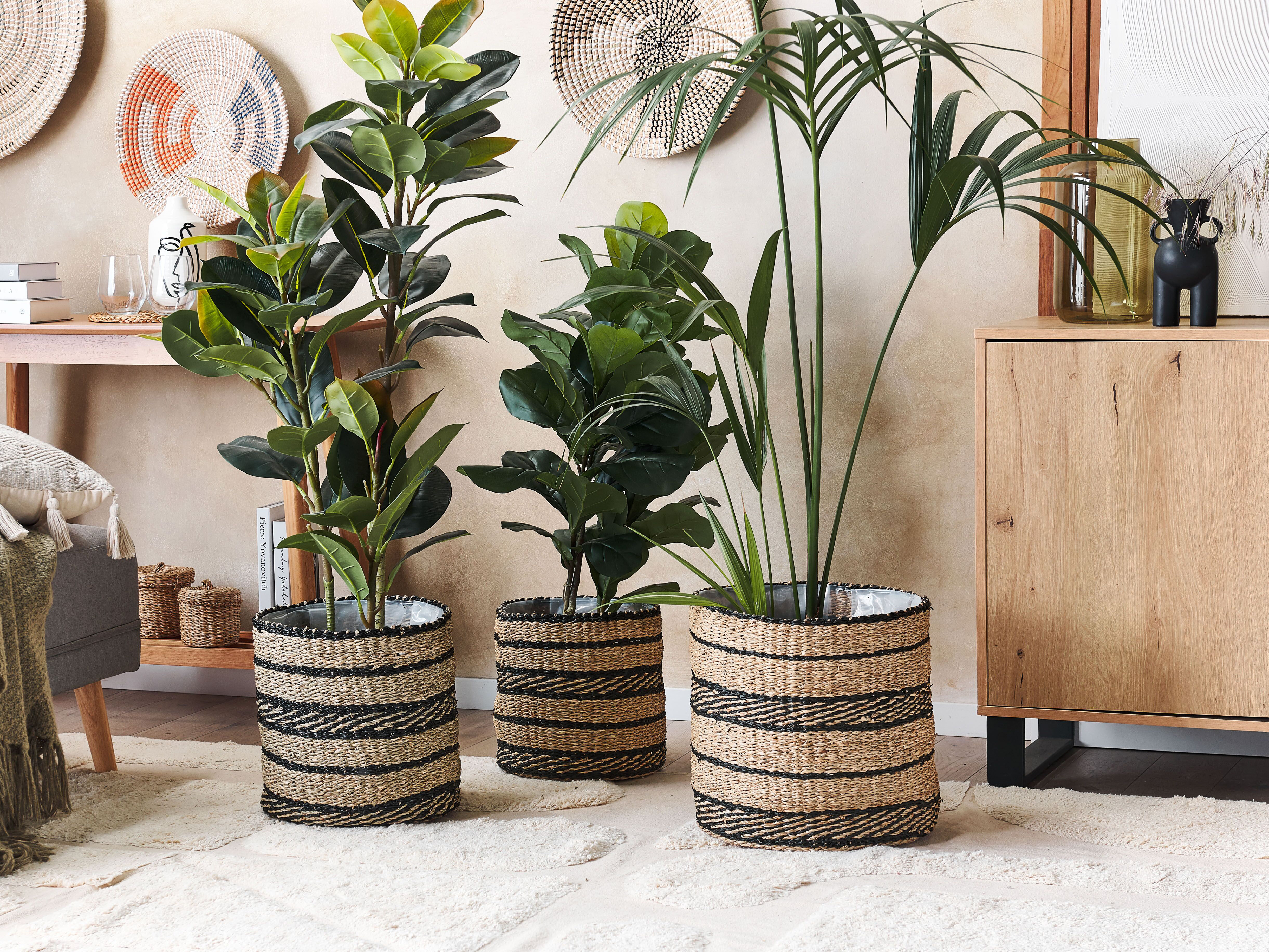 Longshore Tides Sparta Set Of 3 Seagrass Plant Pot Baskets Natural And ...