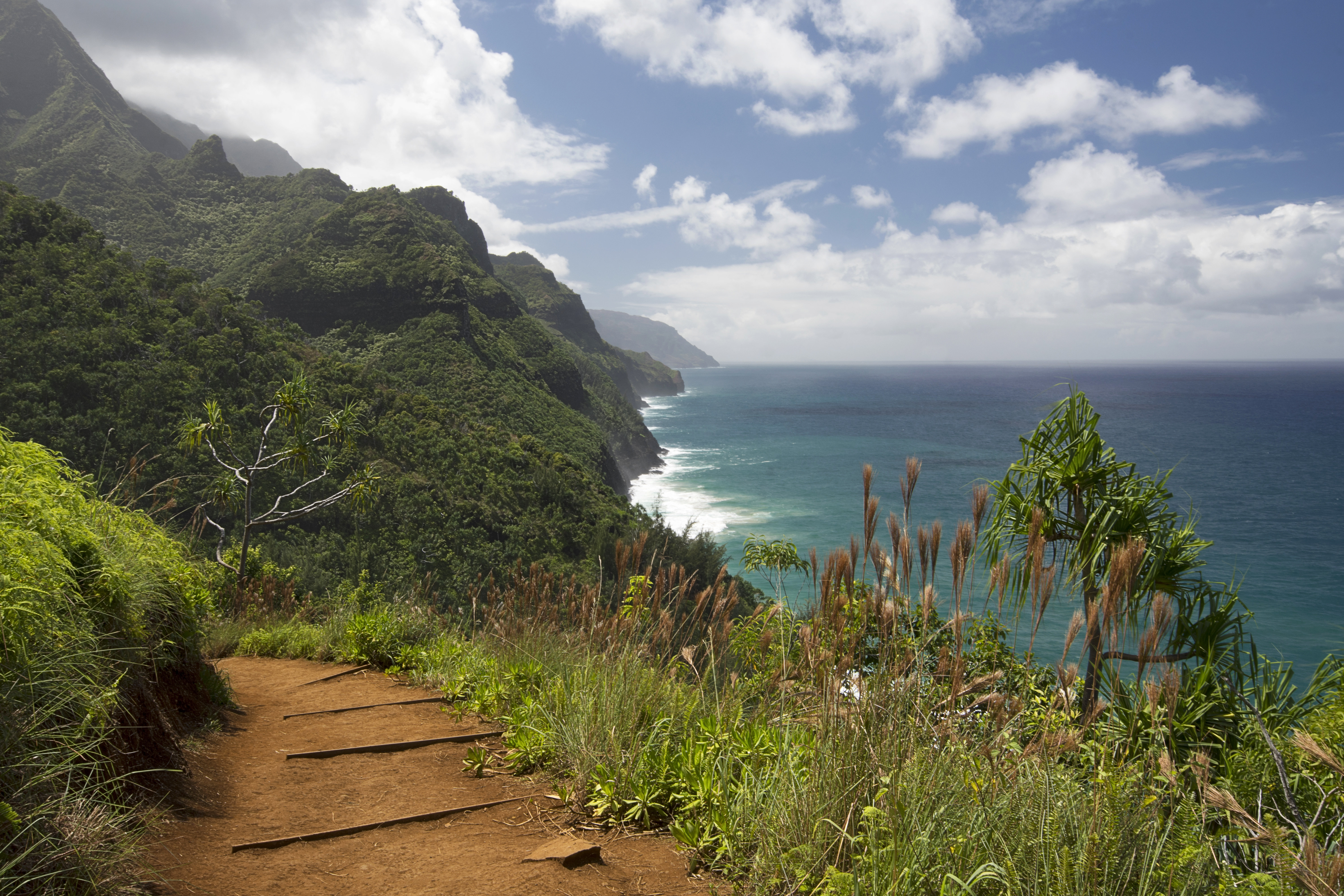 Millwood Pines Na Pali Coast - Wayfair Canada