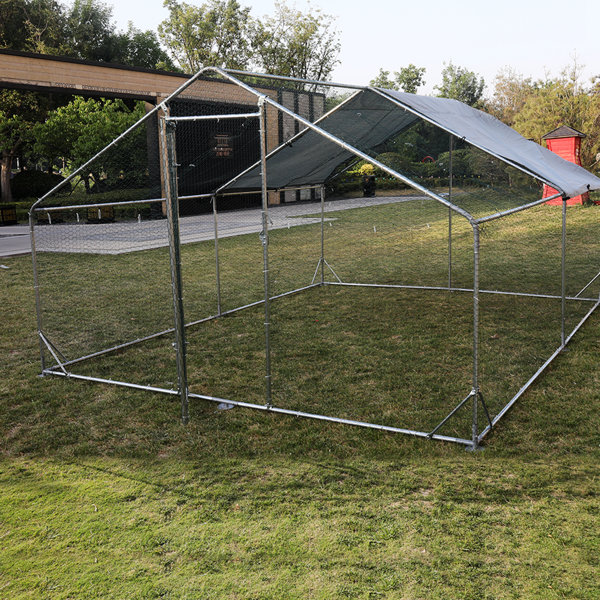 Tucker Murphy Pet™ Fiorenza Chicken Coop with Chicken Run For Up To 10 ...