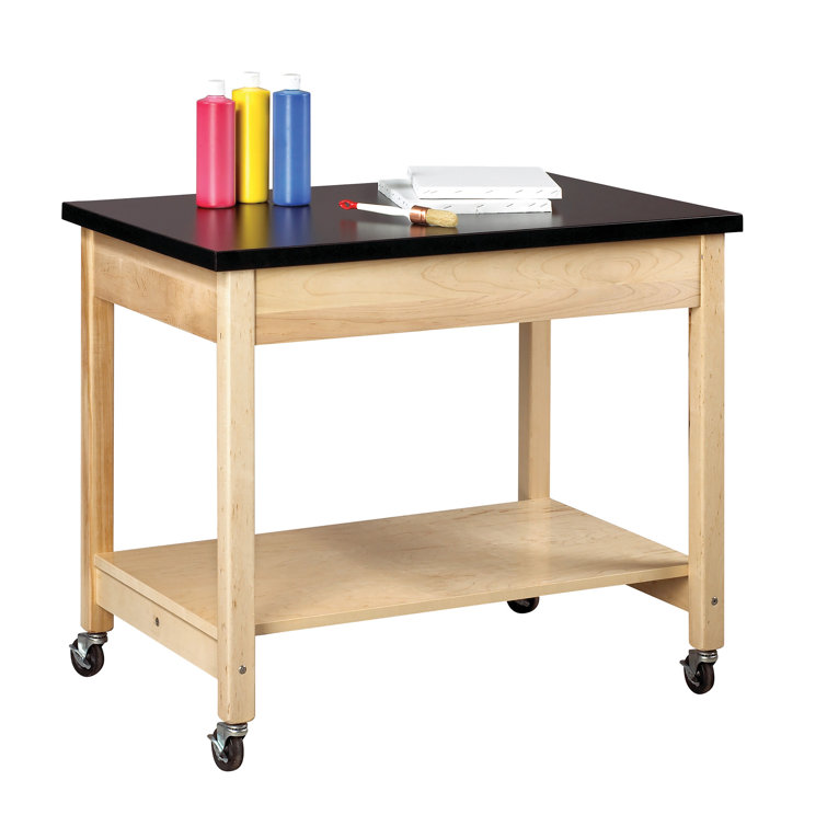 Shain 36'' L x 24'' W Rectangle Wood Science Table | Wayfair
