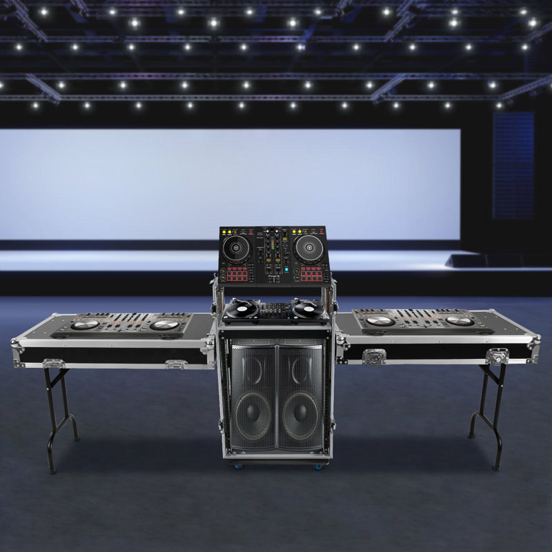 17 Stories 14U Network And Stereo Rack With Wheels (PA DJ Rack) | Wayfair