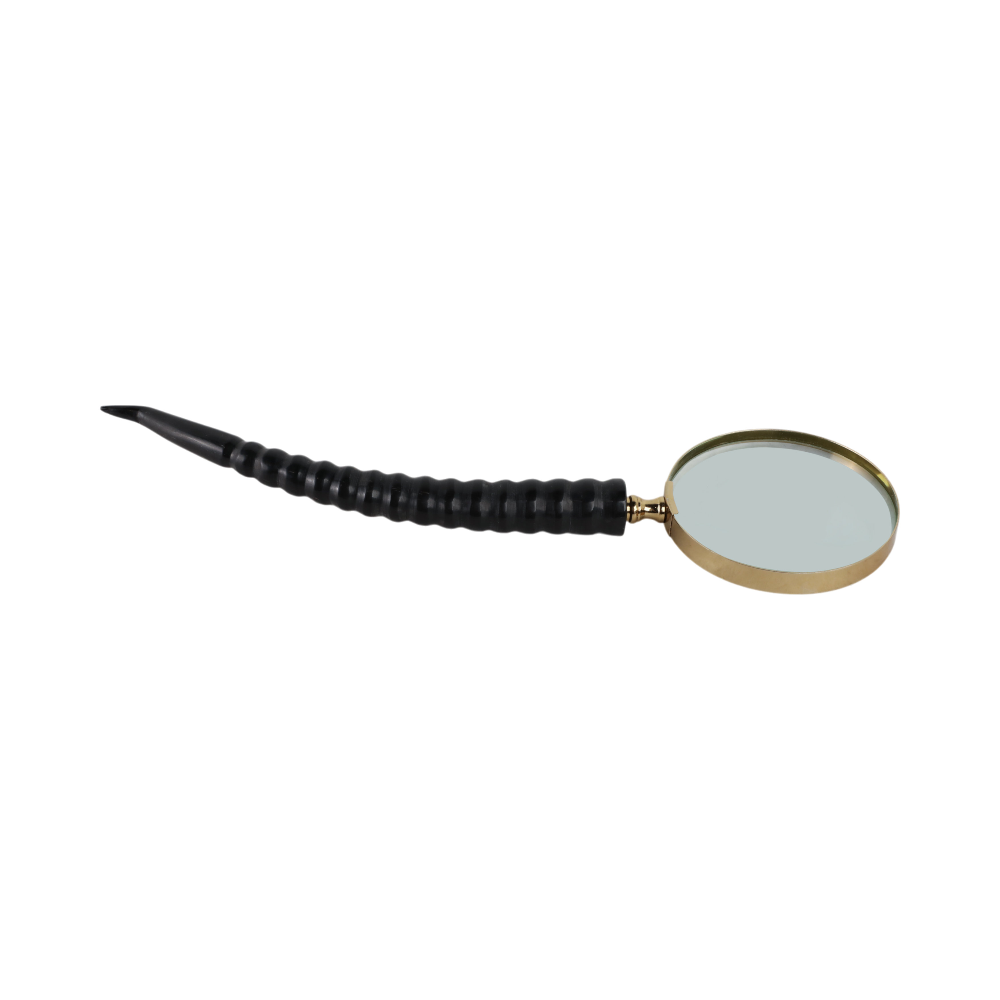 Sagebrook Home 12" Lennon Horn Magnifying Glass | Perigold