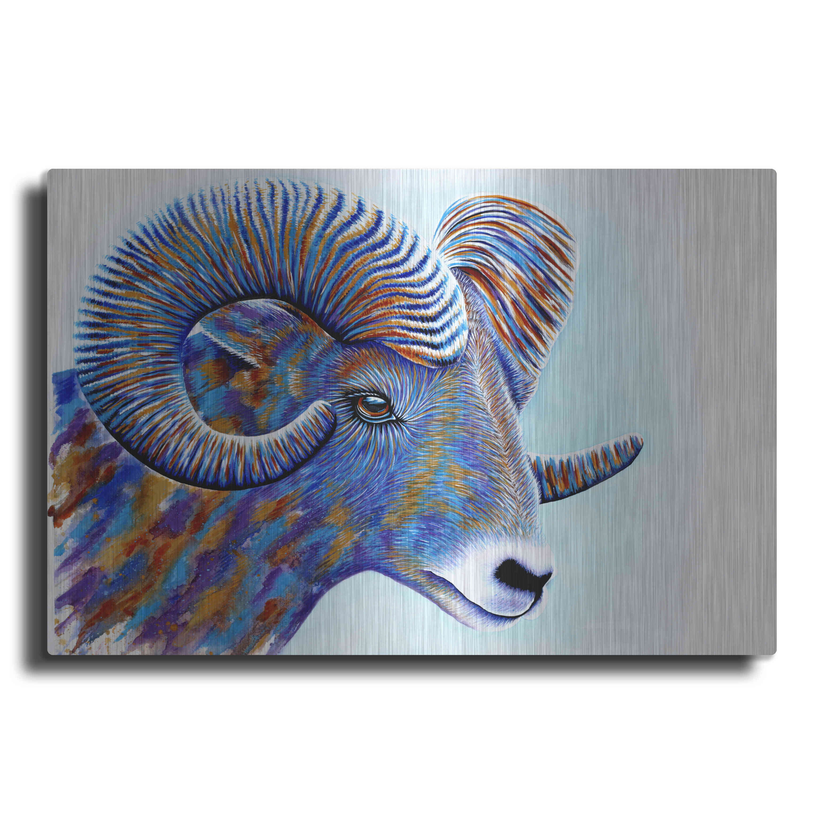 Millwood Pines Ram by Michelle Faber - Unframed Graphic Art on Metal ...
