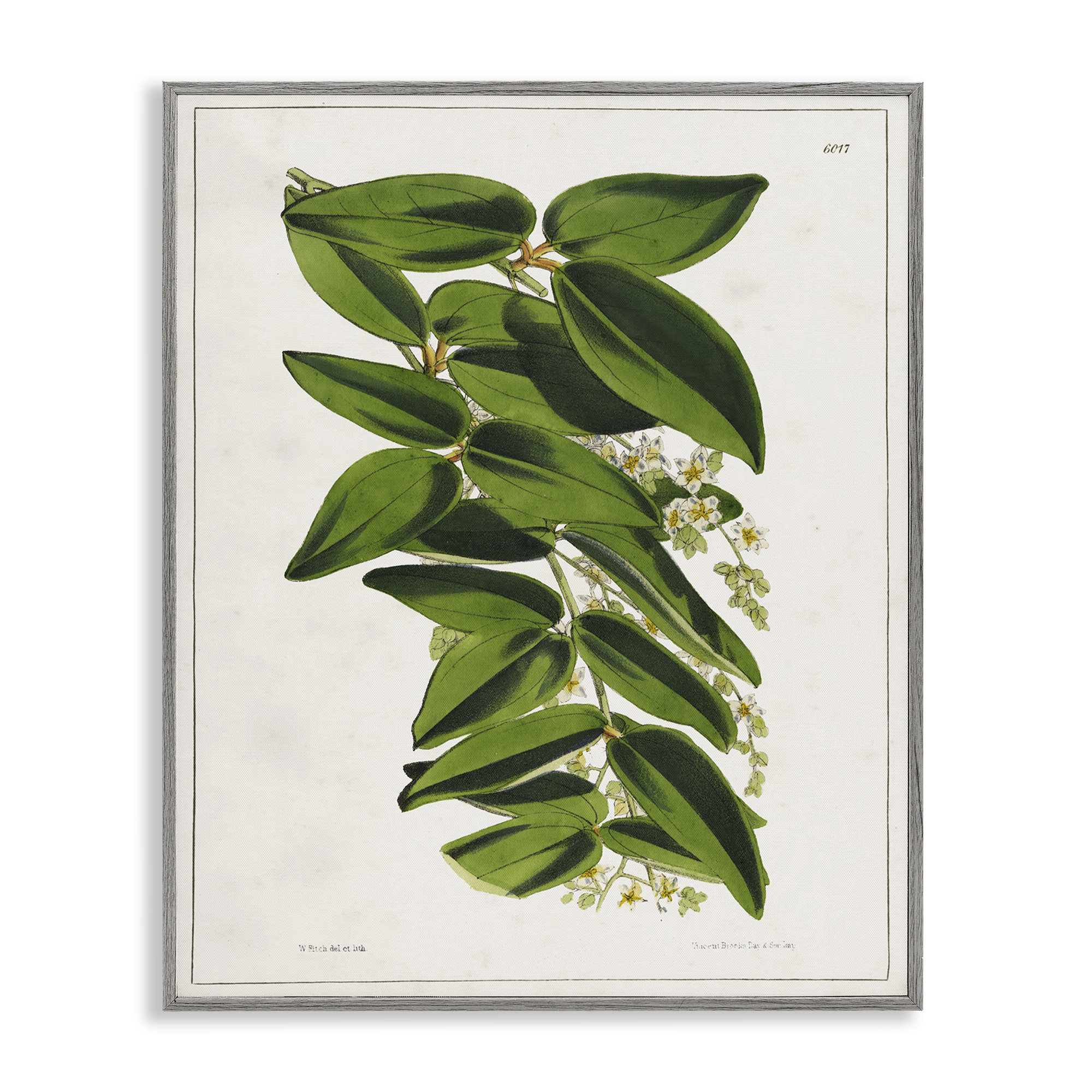 Ebern Designs Stacked Leaves Botanical Giclee Art by Tina Higgins ...