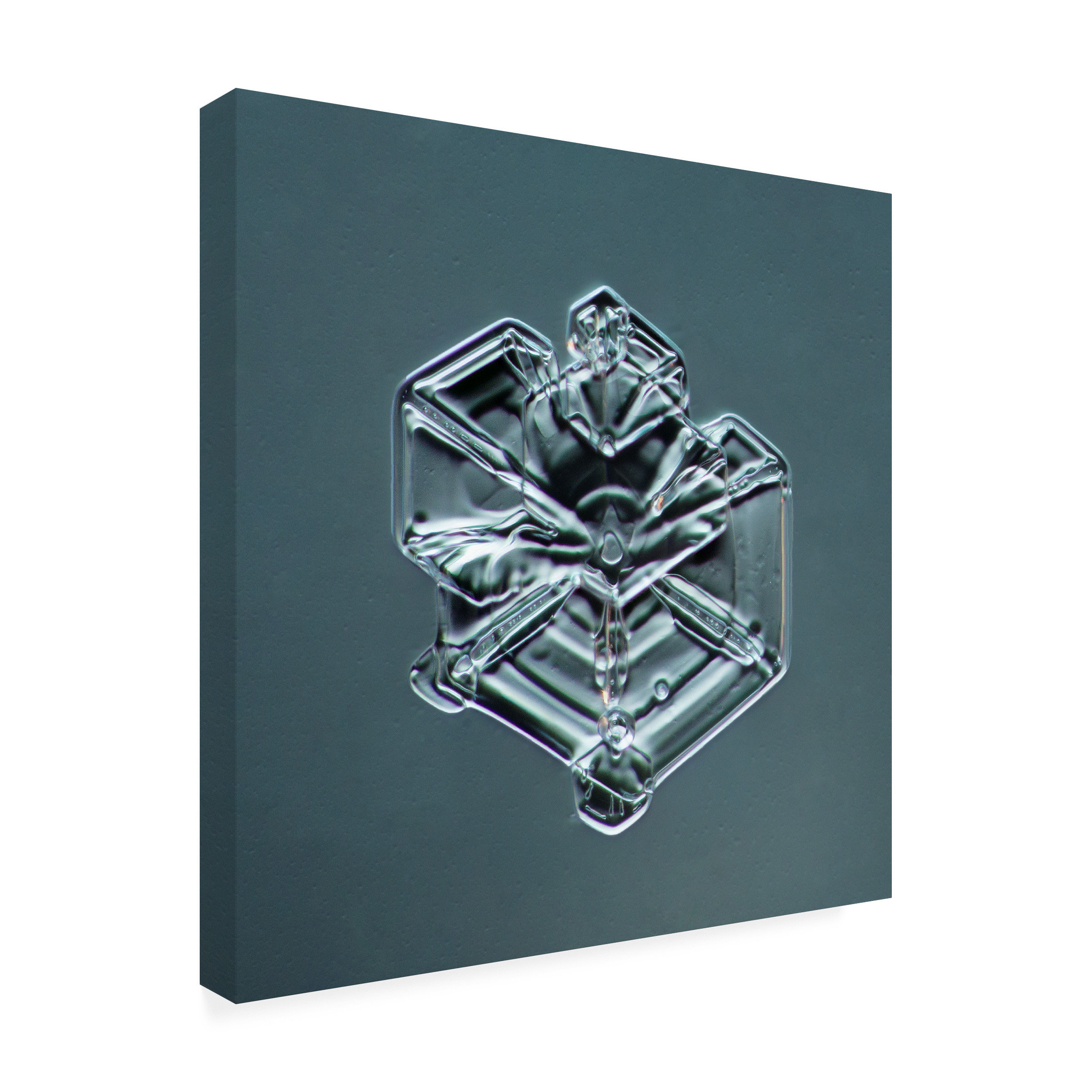 Hokku Designs Hexagonal Plate Snowflake 4 | Wayfair