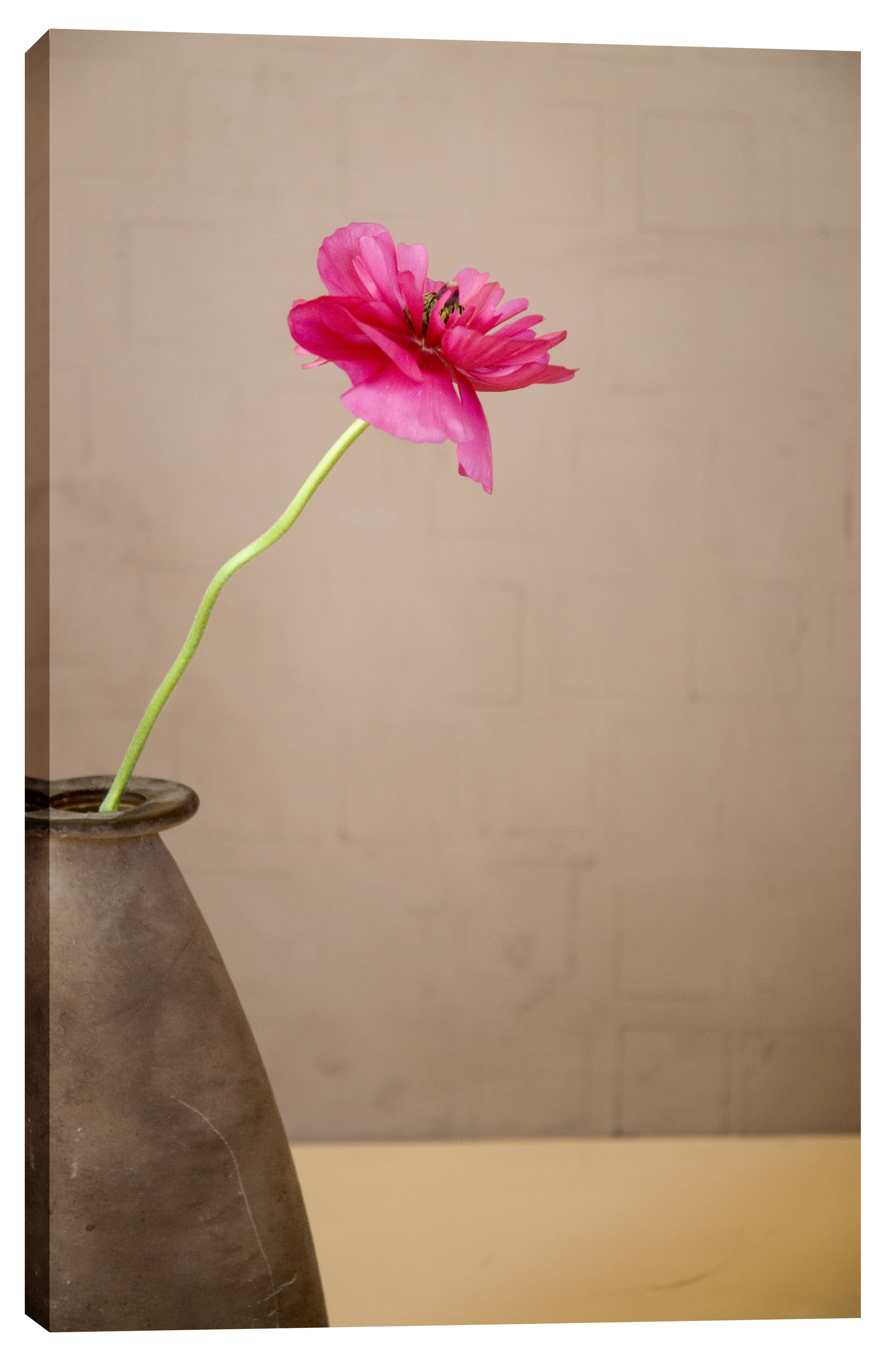 Epic Graffiti "Simple" by Elena Ray Graphic Art on Canvas | Wayfair