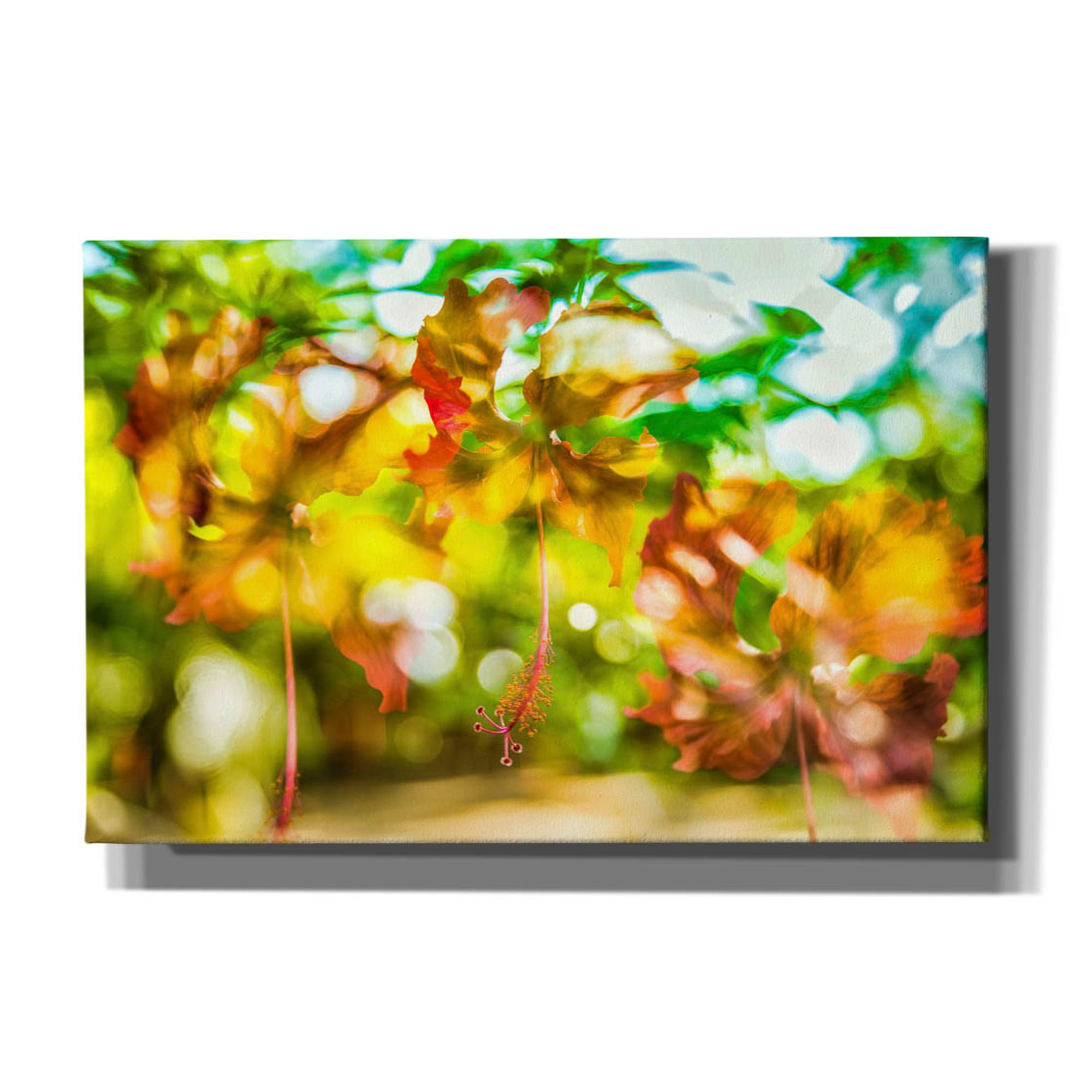 Bayou Breeze Tropical Ecstasy On Canvas by Mark A Paulda Print | Wayfair