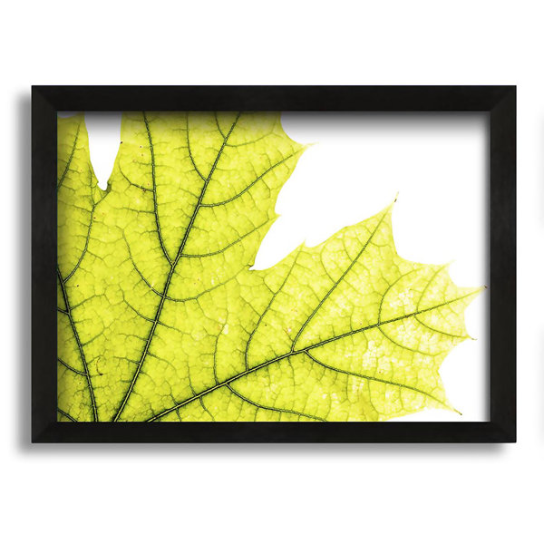Brayden Studio Magnificent Leaf - Single Picture Frame Print on Canvas ...