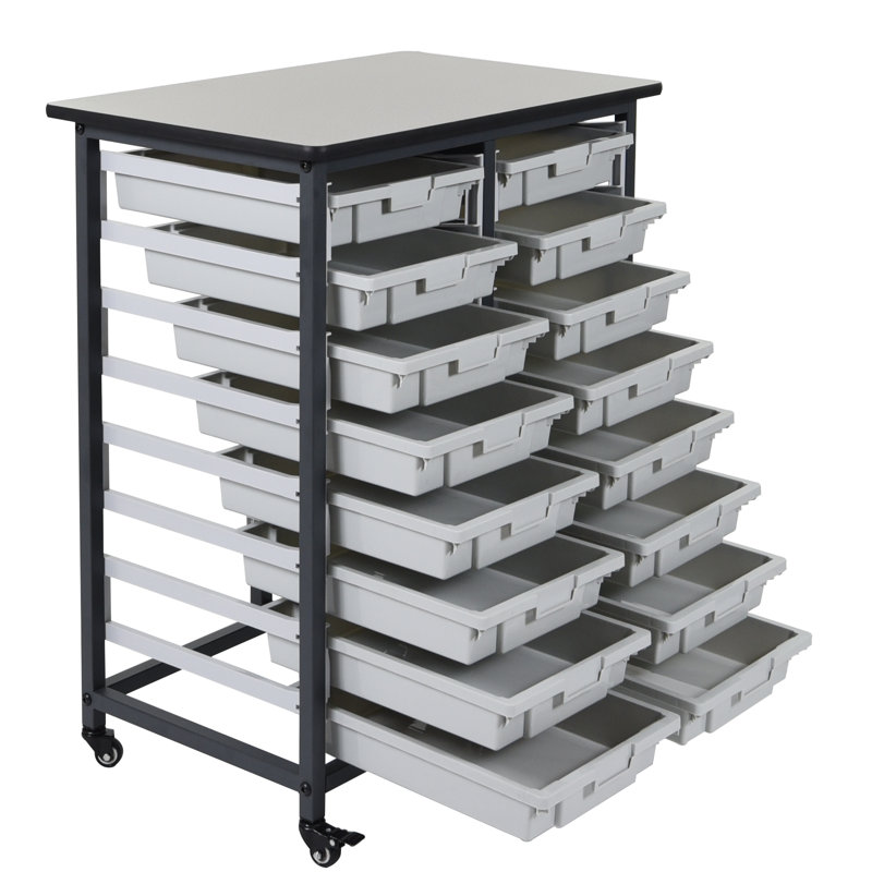 Luxor 16 Drawer Storage Drawer & Reviews | Wayfair