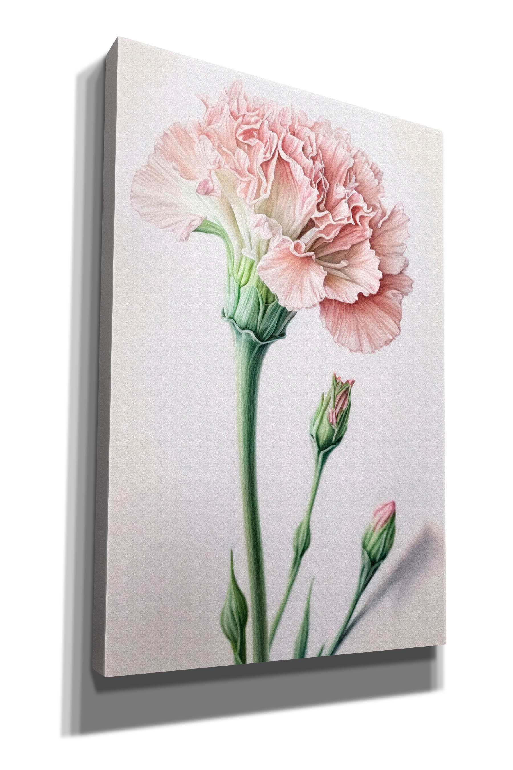 Winston Porter 'Powder Pink Carnations' by Design Fabrikken Canvas Wall ...