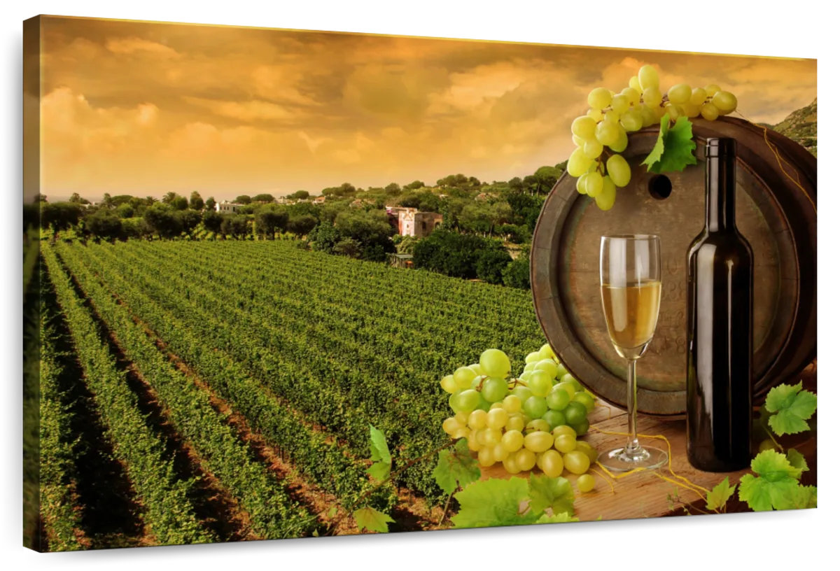 Ebern Designs Yarlin Vineyard In Tuscany - Wayfair Canada