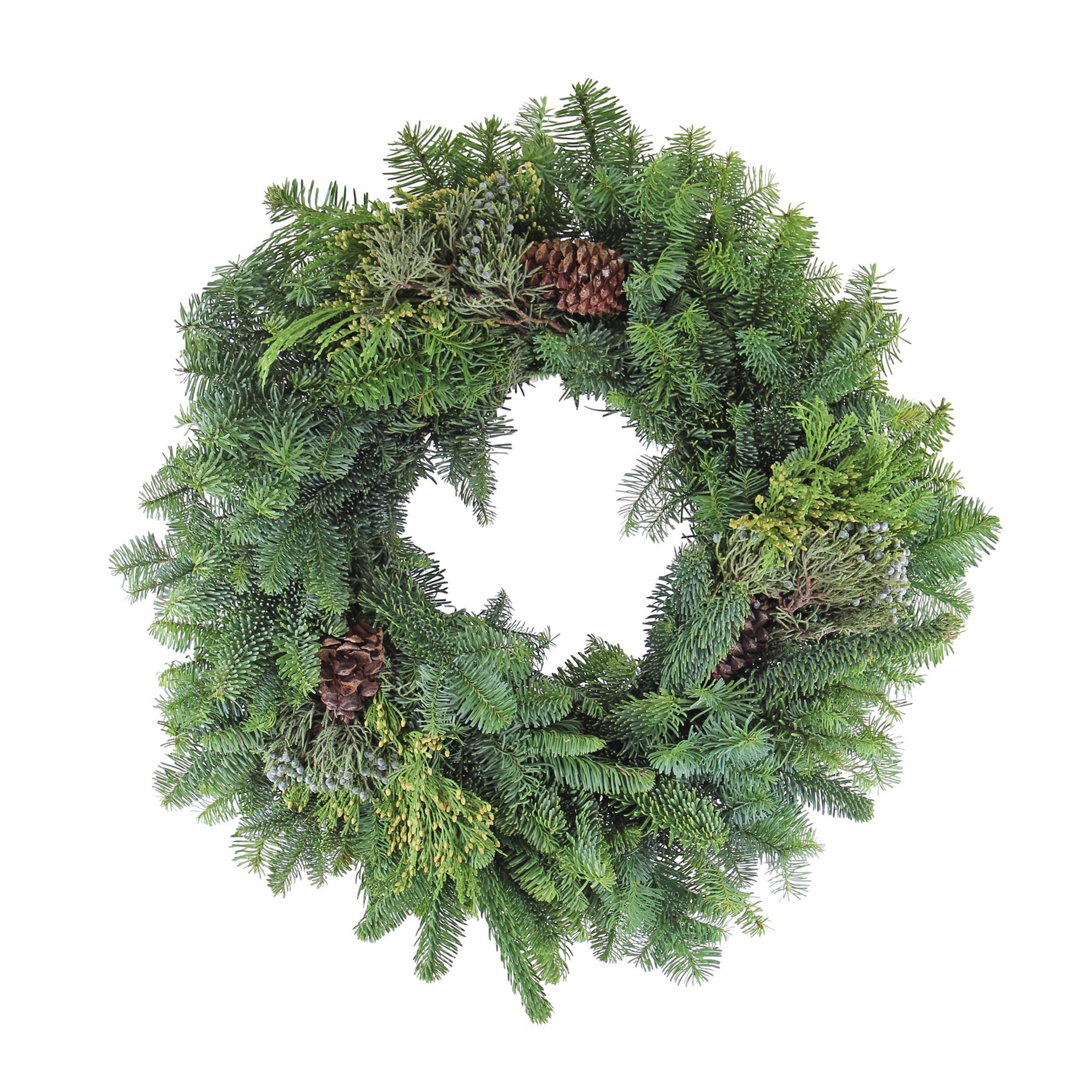 The Holiday Aisle® Fresh Christmas Noble Mixed 24" Greenery Wreath ...