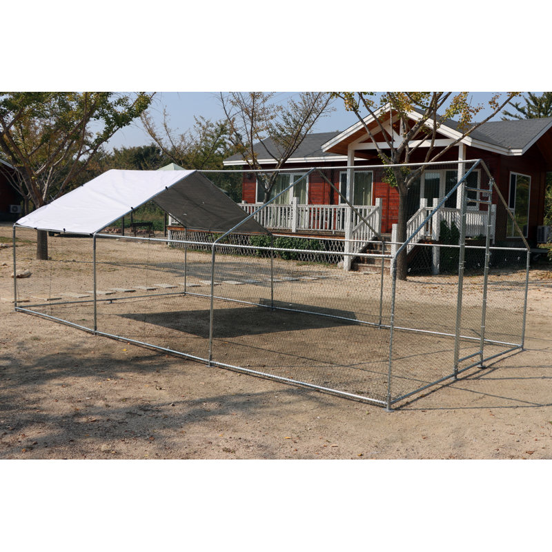 Tucker Murphy Pet™ Crellen Metal Chicken Run Coop, Walk-in Poultry Cage ...