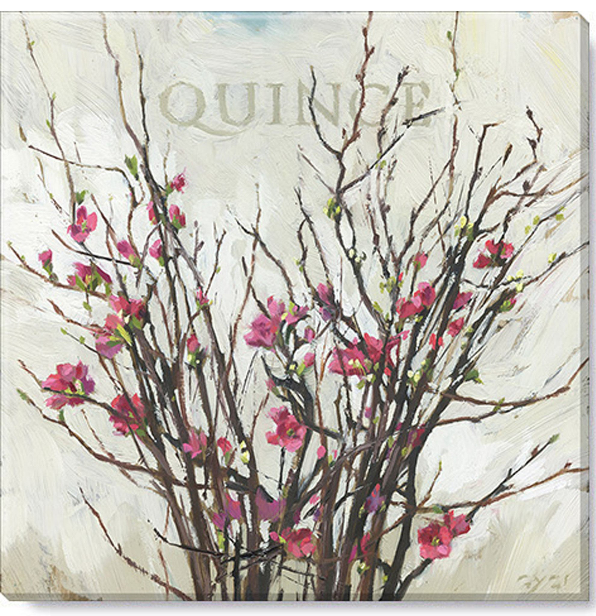 Darren Gygi Home Collection Quince by Darren Gygi - Wrapped Canvas ...