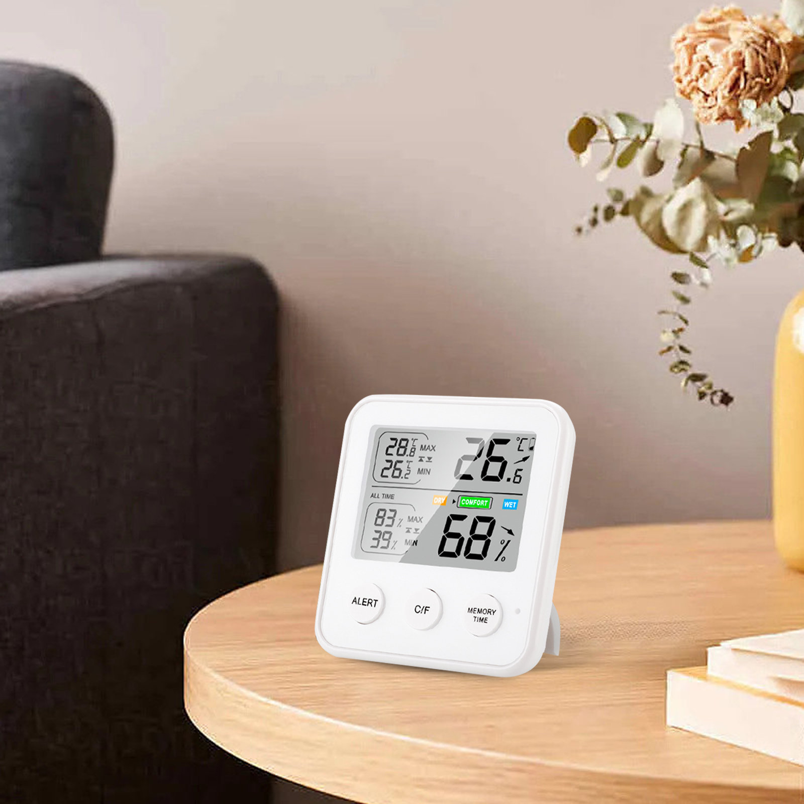 Lomana 3.54'' Wireless Indoor Thermometer - Wayfair Canada