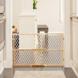 Safety 1st Easy Install Auto-Close Safety Gate & Reviews | Wayfair