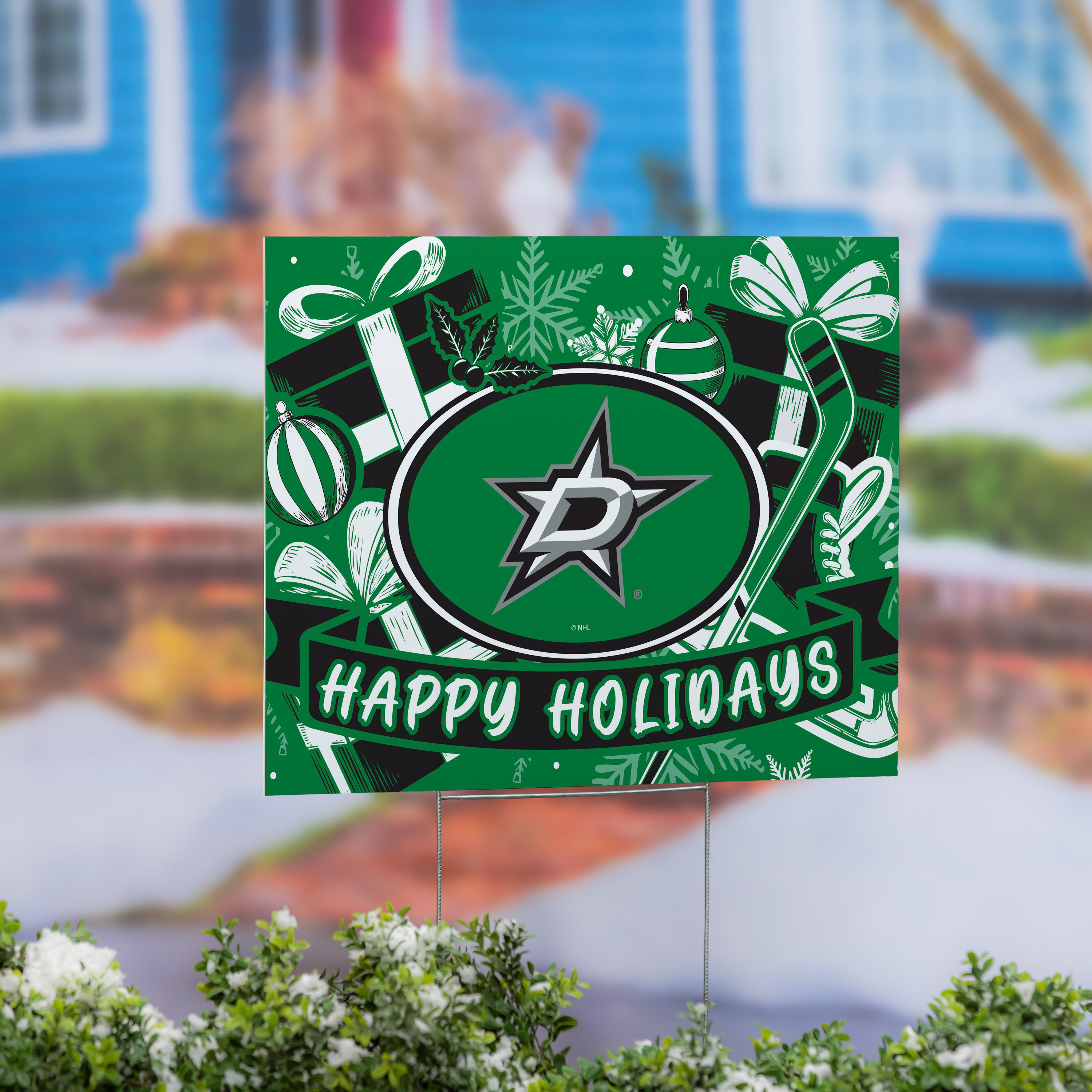 Ebern Designs Dallas Stars Yard Sign, Holiday | Wayfair