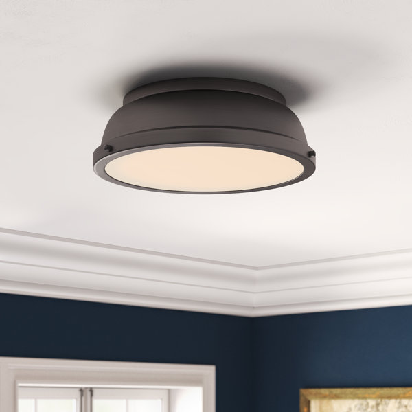 Calico 2 Light Steel Flush Mount & Reviews | Birch Lane