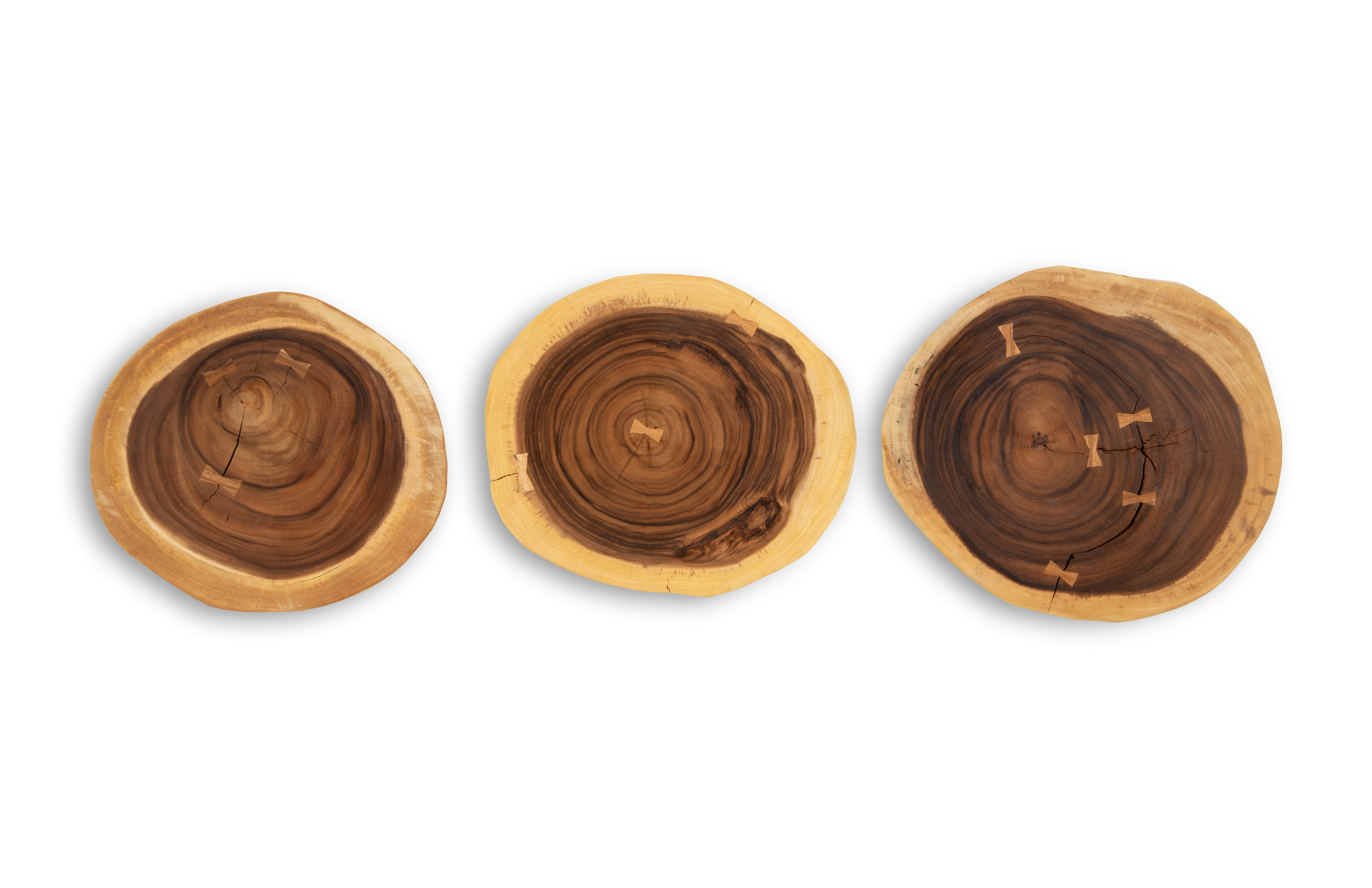 Phillips Collection Chuleta 3 Piece Wall Décor Set | Perigold