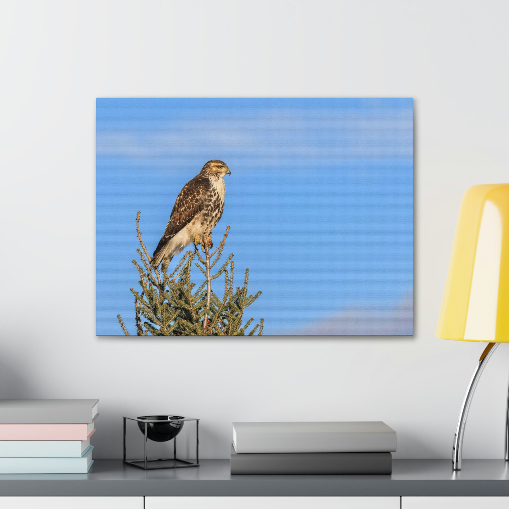 Latitude Run® Majestic Buzzard Art Majestic Buzzard Print Animal Wall ...
