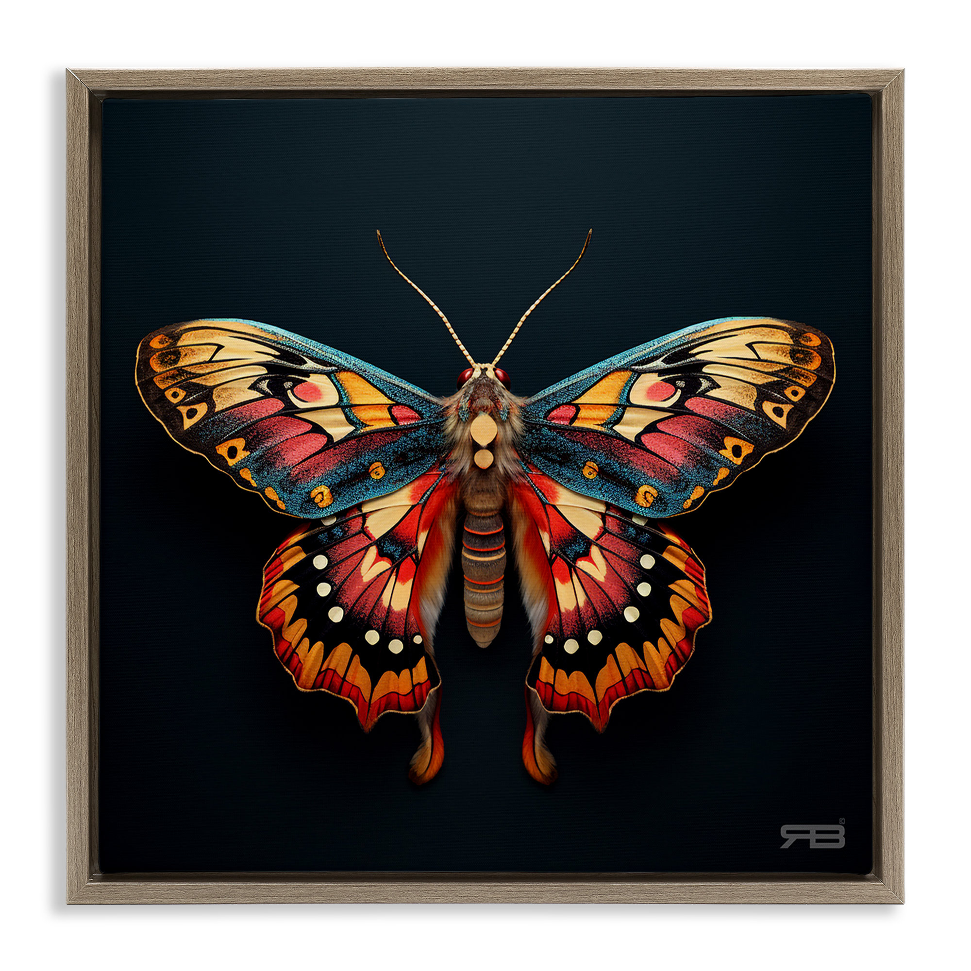 Ebern Designs Vivid Patterned Moth Canvas Wall Art by Roozbeh Bahramali ...