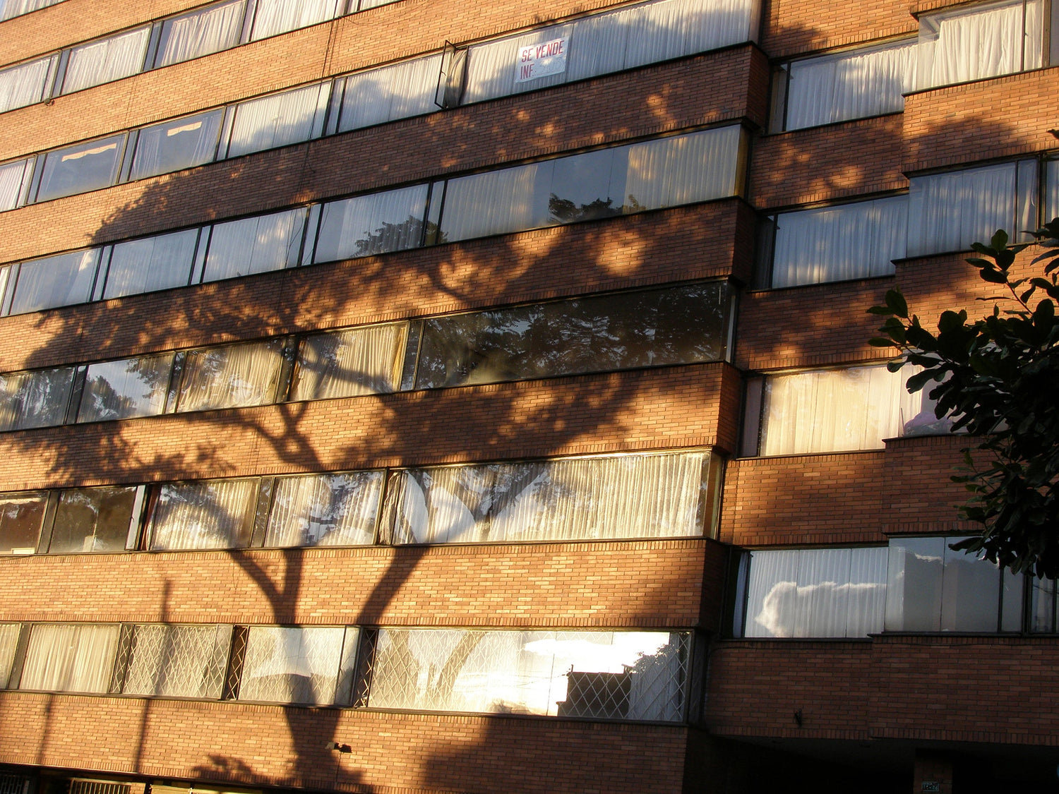 Robert Allen Naturally Urban 1 by Leonardo Segovia - Unframed ...