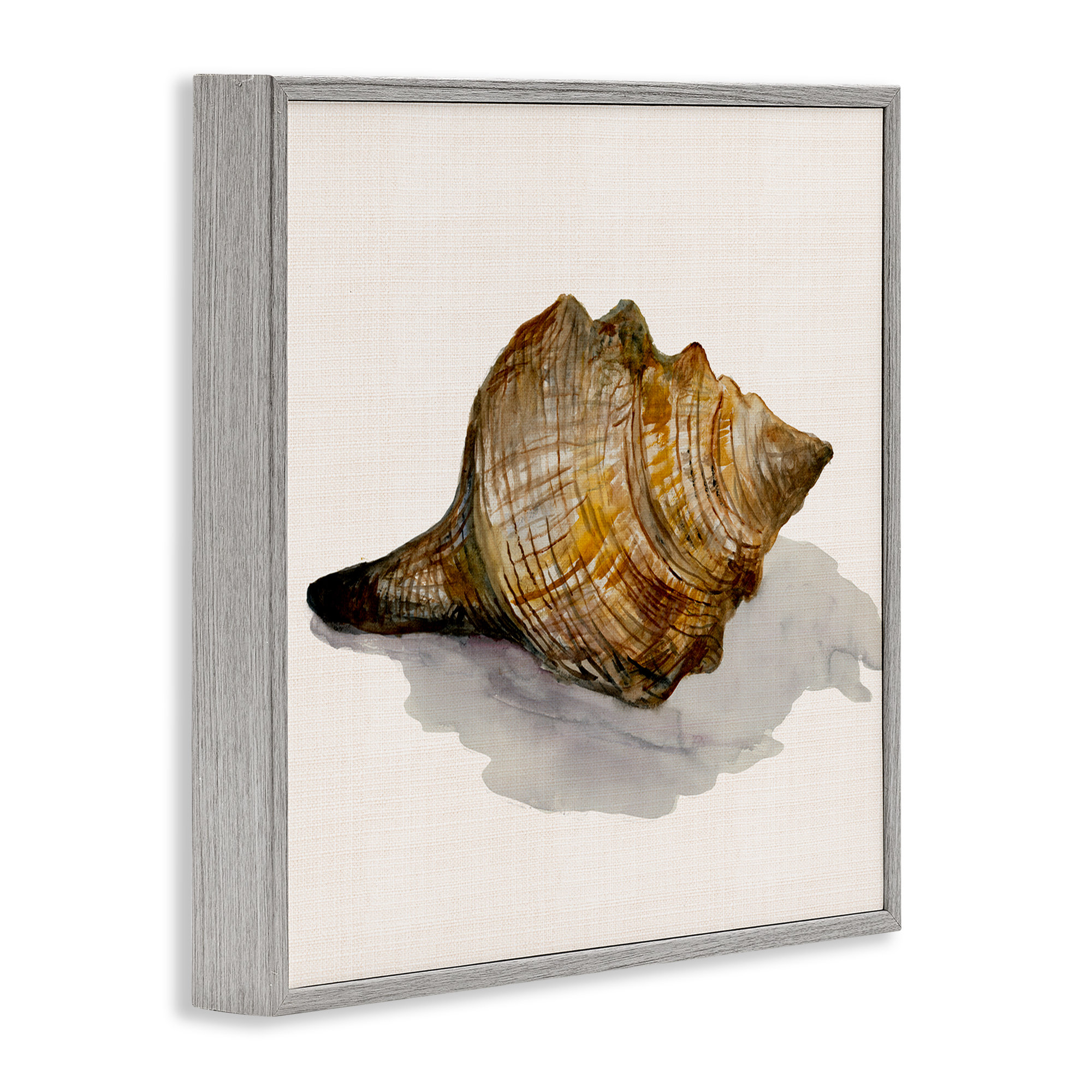 Highland Dunes Conch Shell on Beige White Framed Giclee Art by Jacob Q ...