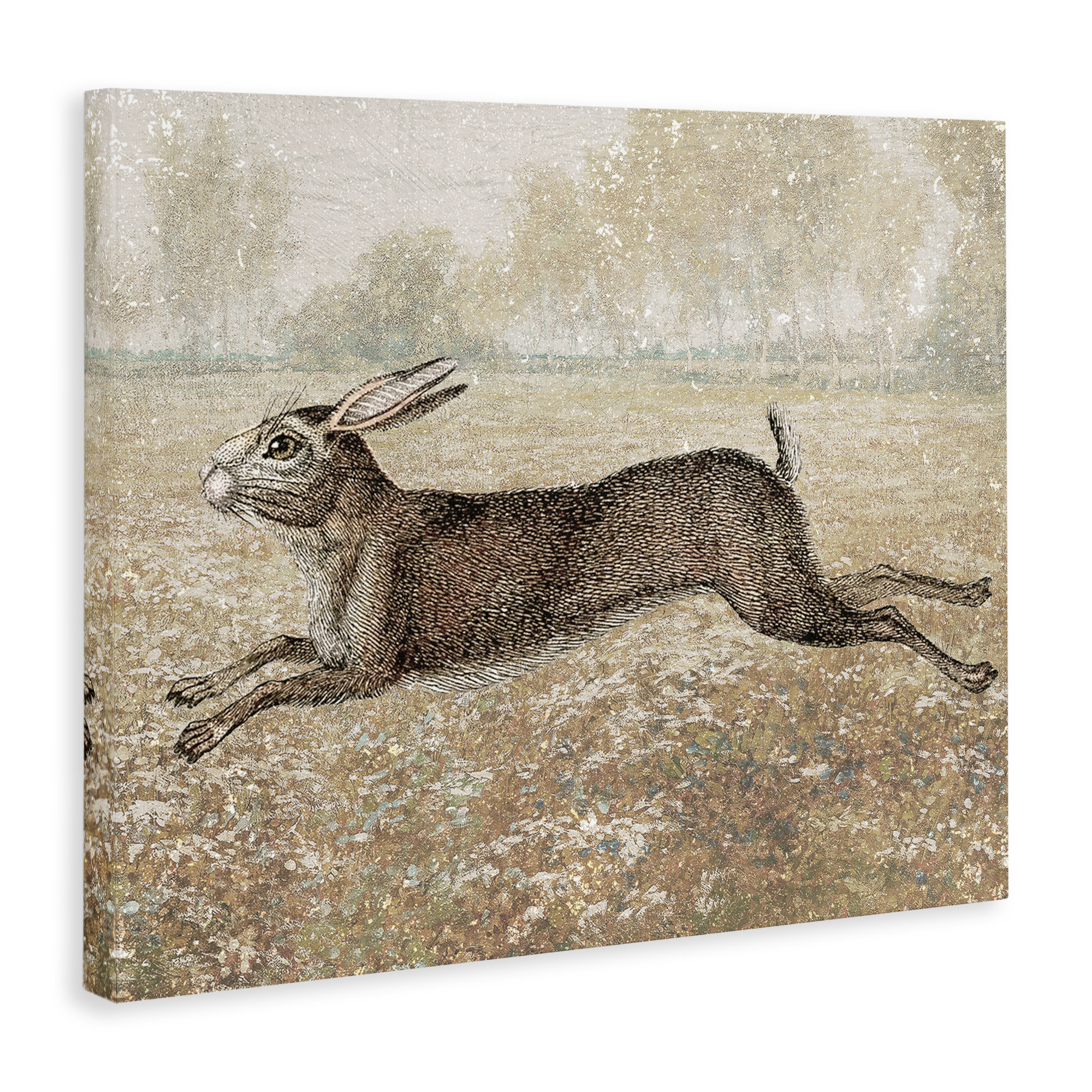 August Grove Traditional Jumping Hare Canvas Wall Art by Daphne ...