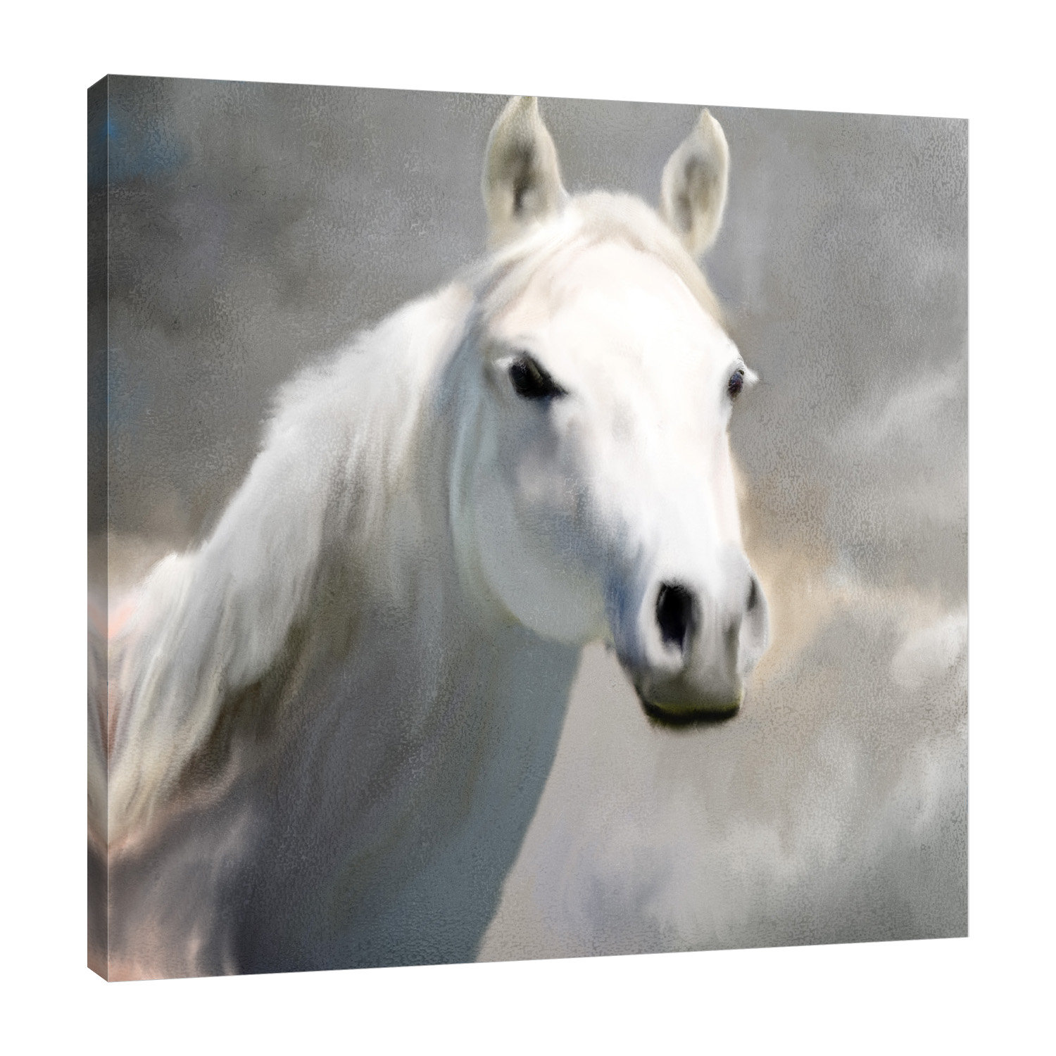 Jaxson Rea "White Knight" Gallery Wrapped Canvas By Kimberly Allen ...