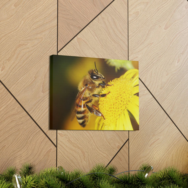 Gracie Oaks Majestic Bee Art Majestic Bee Print Animal Wall Art ...