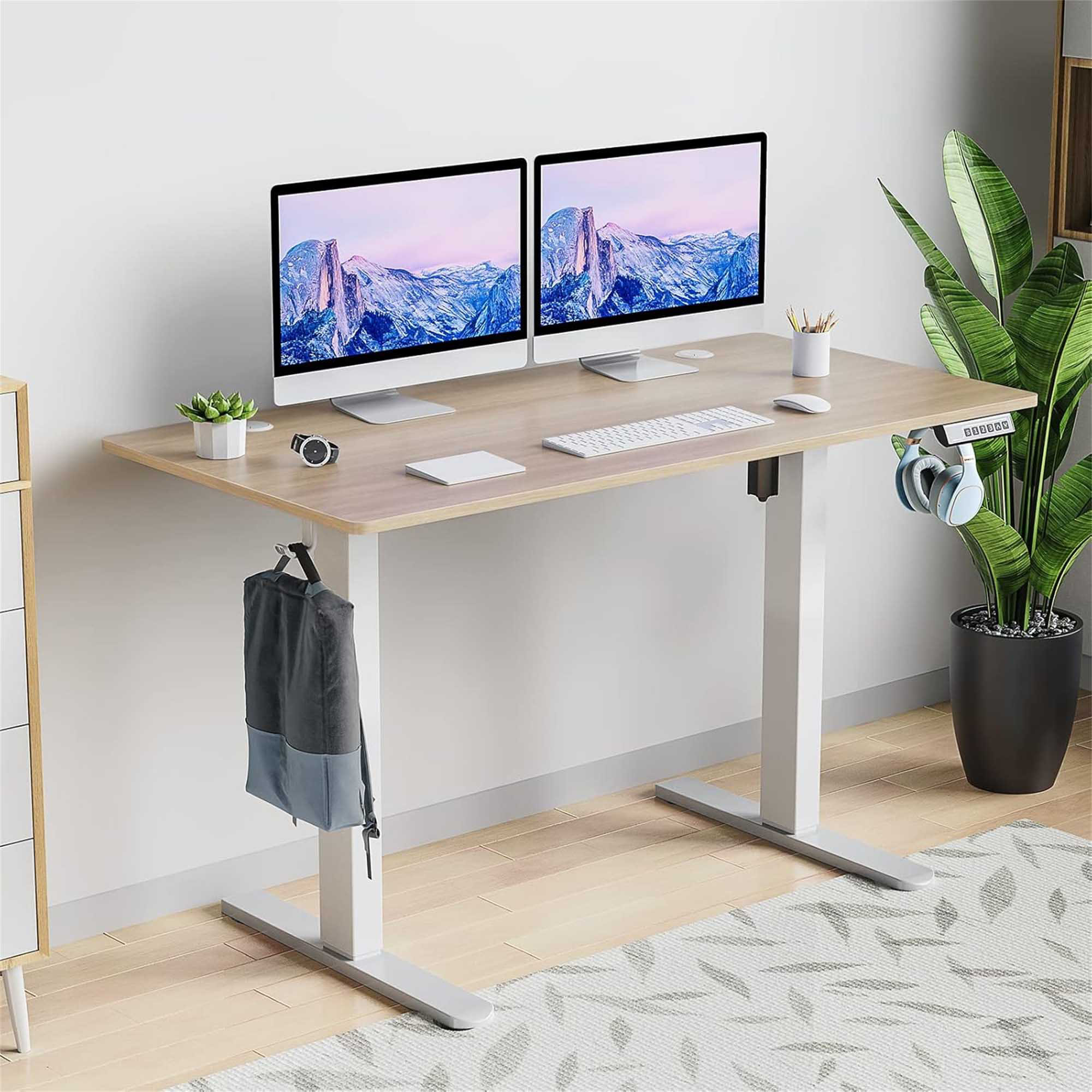 Latitude Run® Standing Desk, Adjustable Height Electric Sit Stand Up ...
