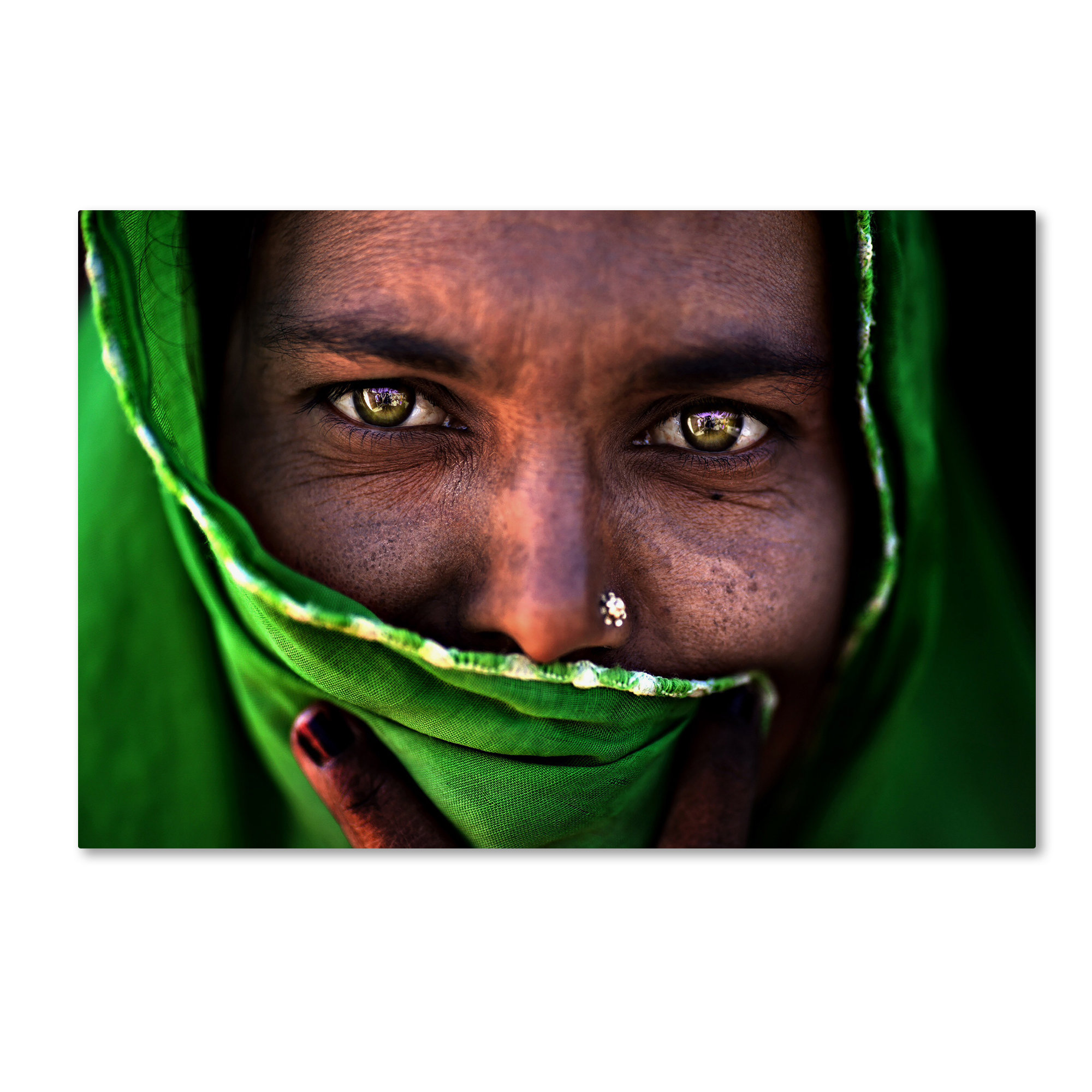 Trademark Fine Art 'Green Face' Photographic Print on Wrapped Canvas ...
